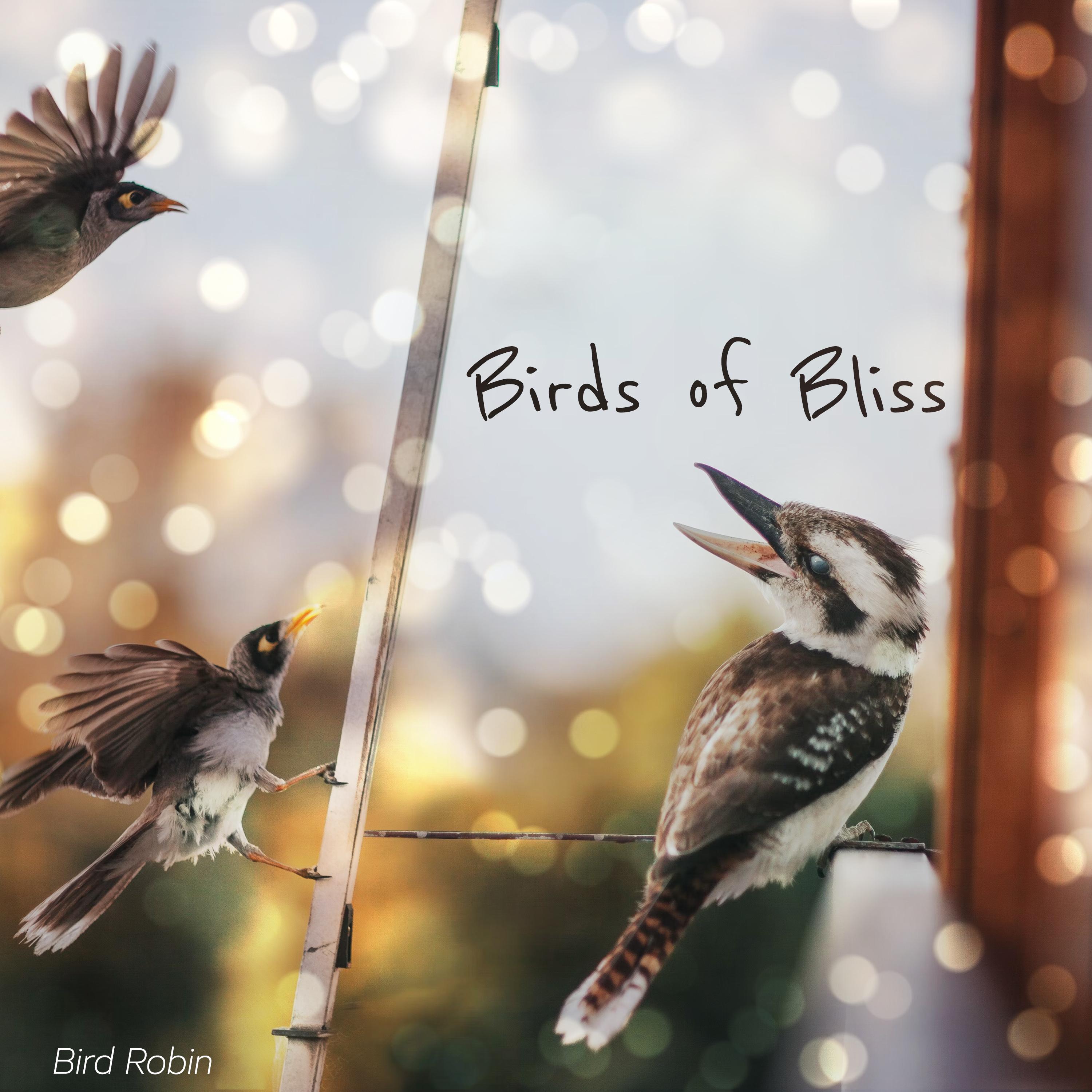 Tweets Tranquil - Bird Robin - 单曲 - 网易云音乐