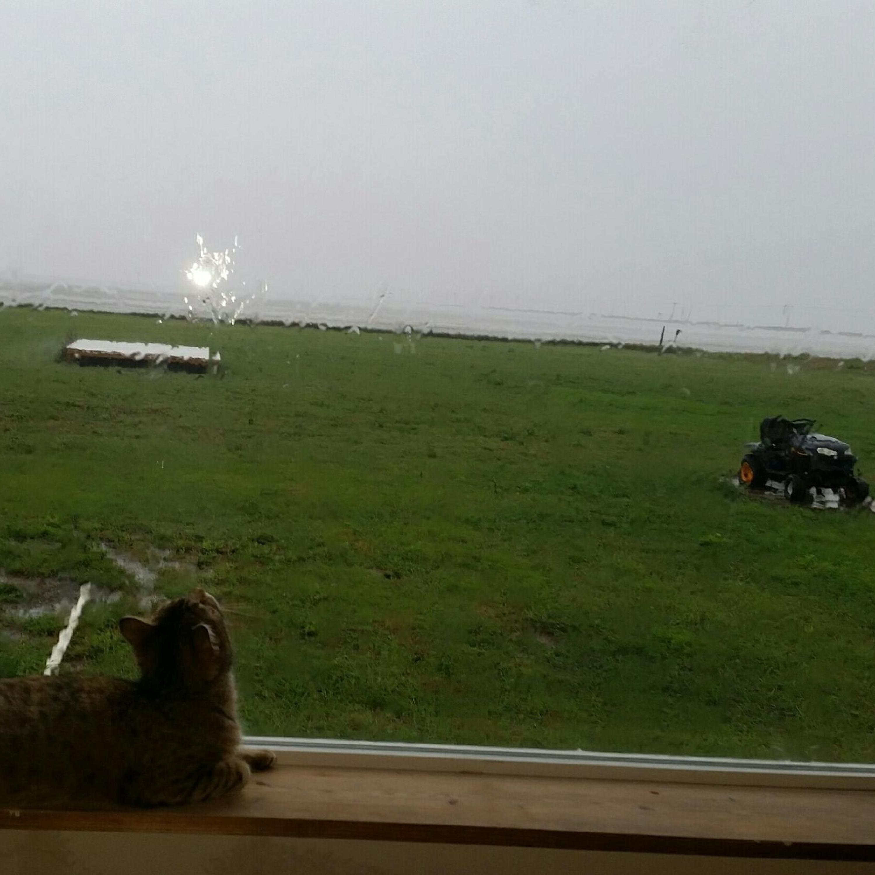 Do Ri Me - Robert James With the Unaccountable Freaks - 单曲 - 网易云音乐