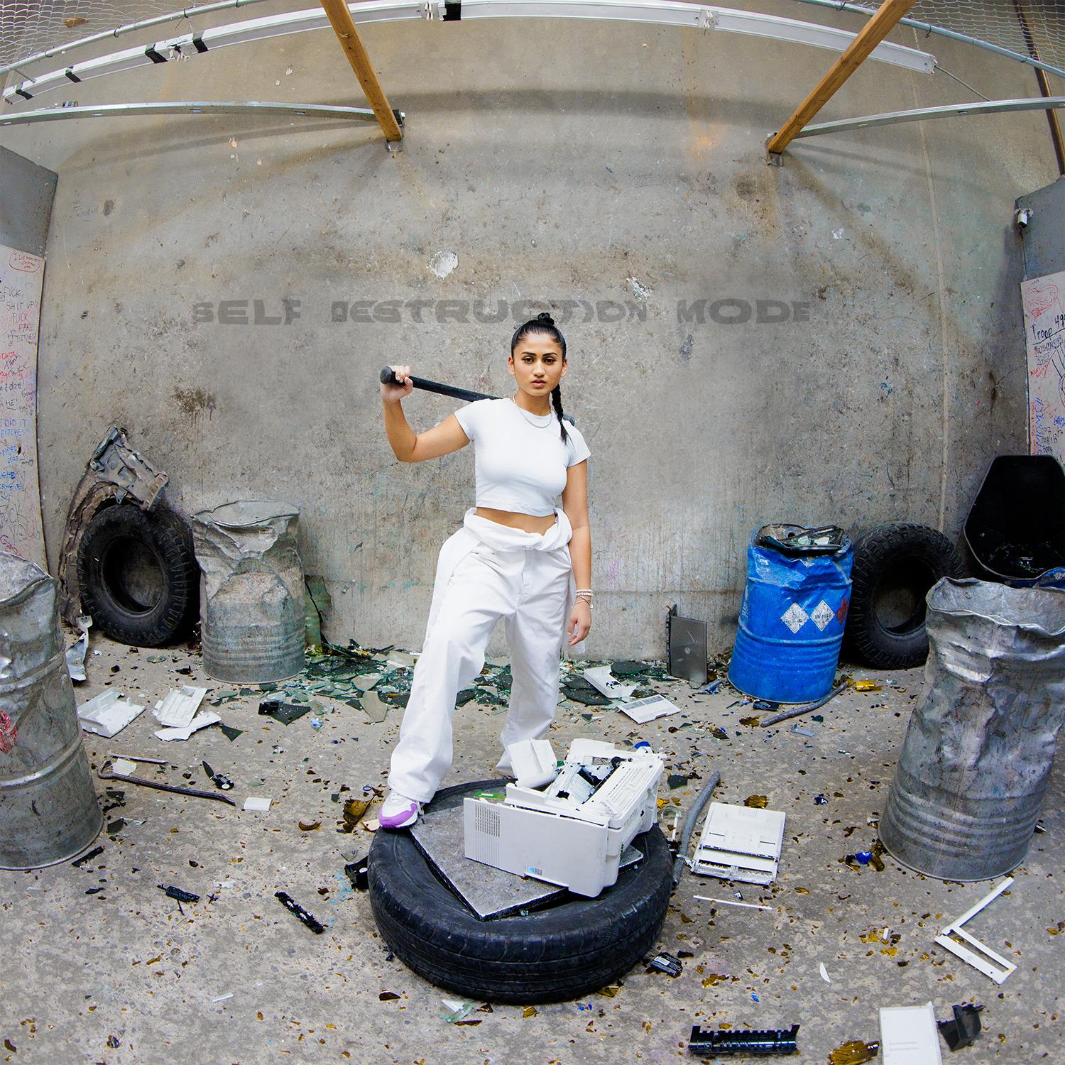 Self Destruction Mode - Ashley Mehta - 专辑 - 网易云音乐