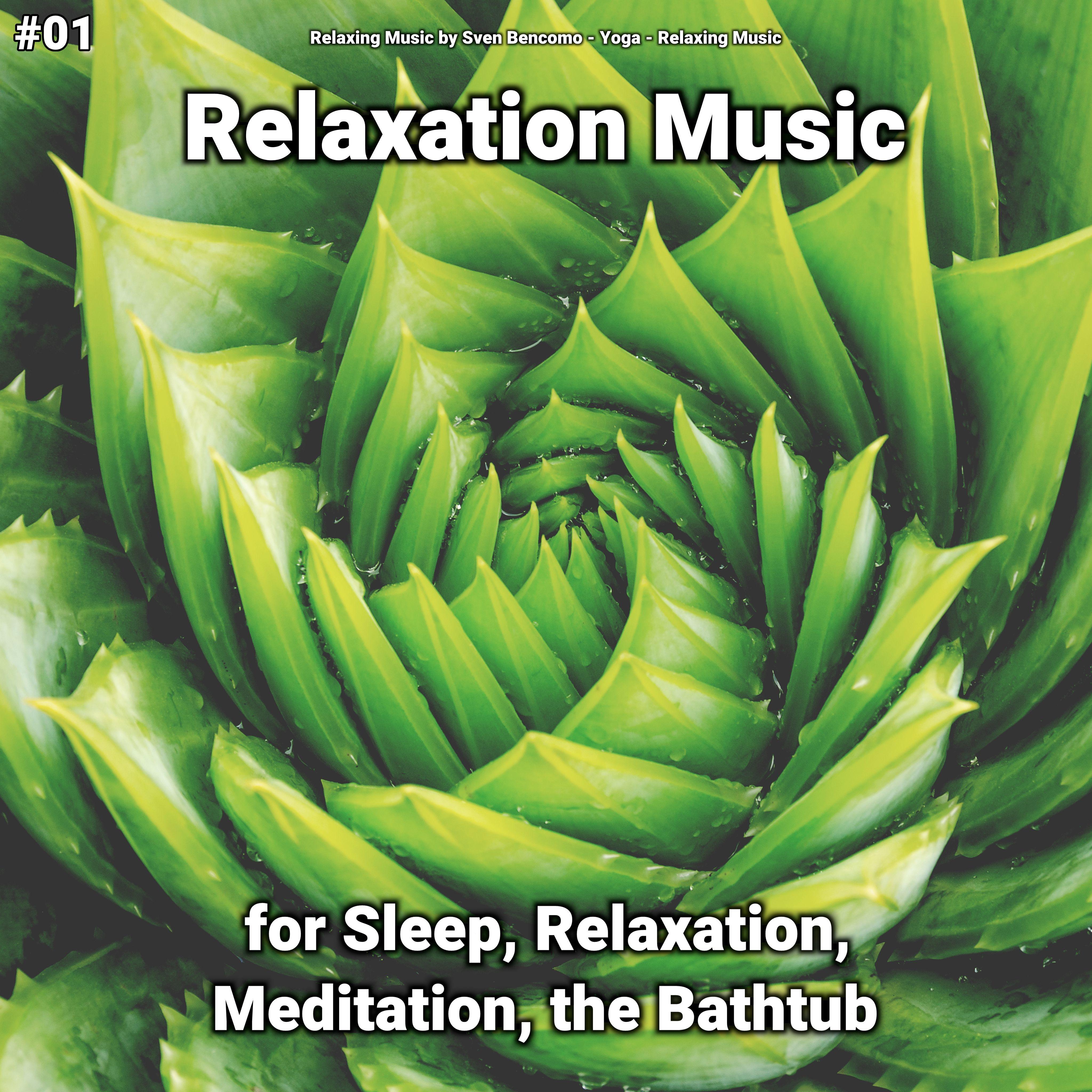 Relaxation Music, Pt. 59 - Relaxing Music/Yoga - 单曲 - 网易云音乐