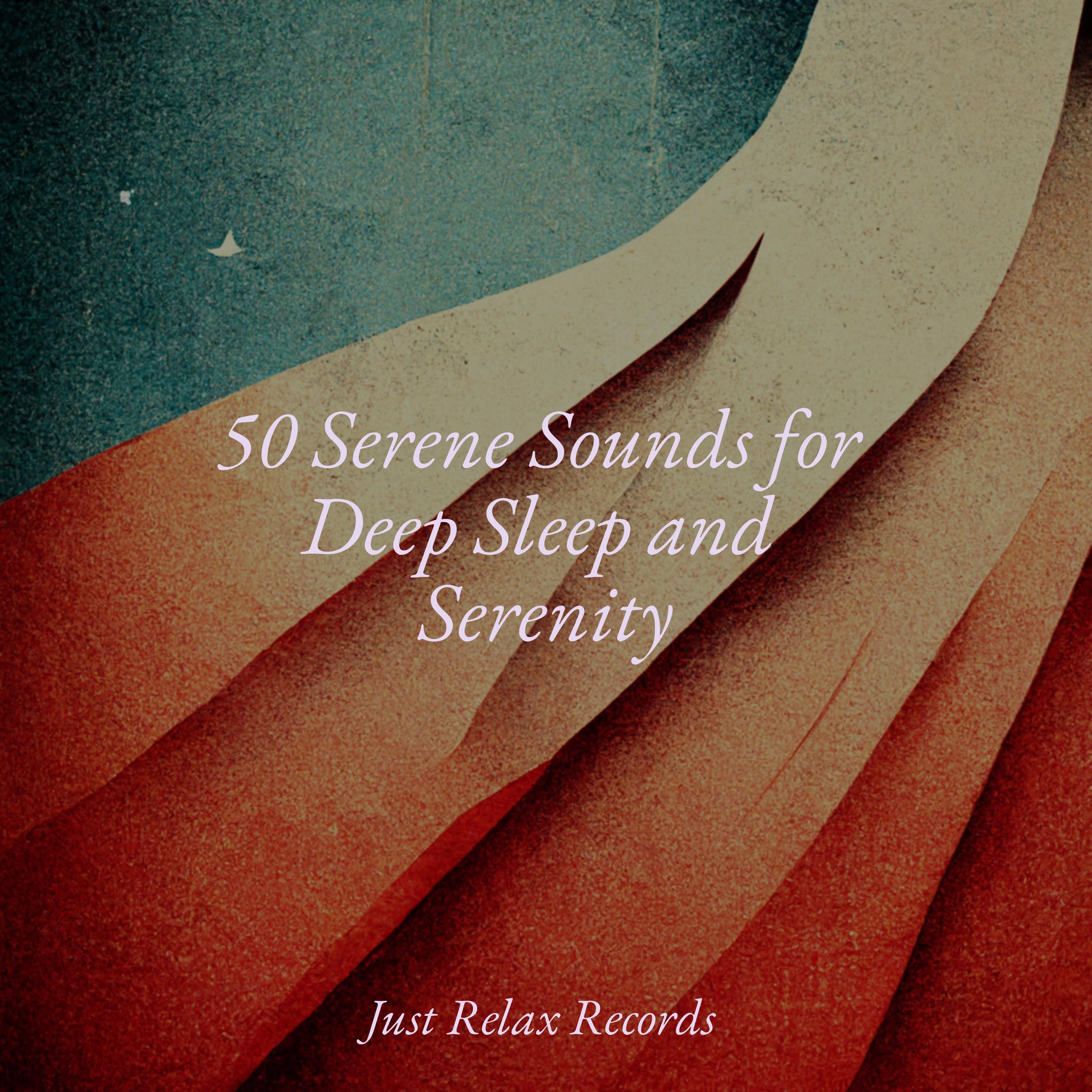 50 Serene Sounds for Deep Sleep and Serenity - lounge relax - 专辑 - 网易云音乐