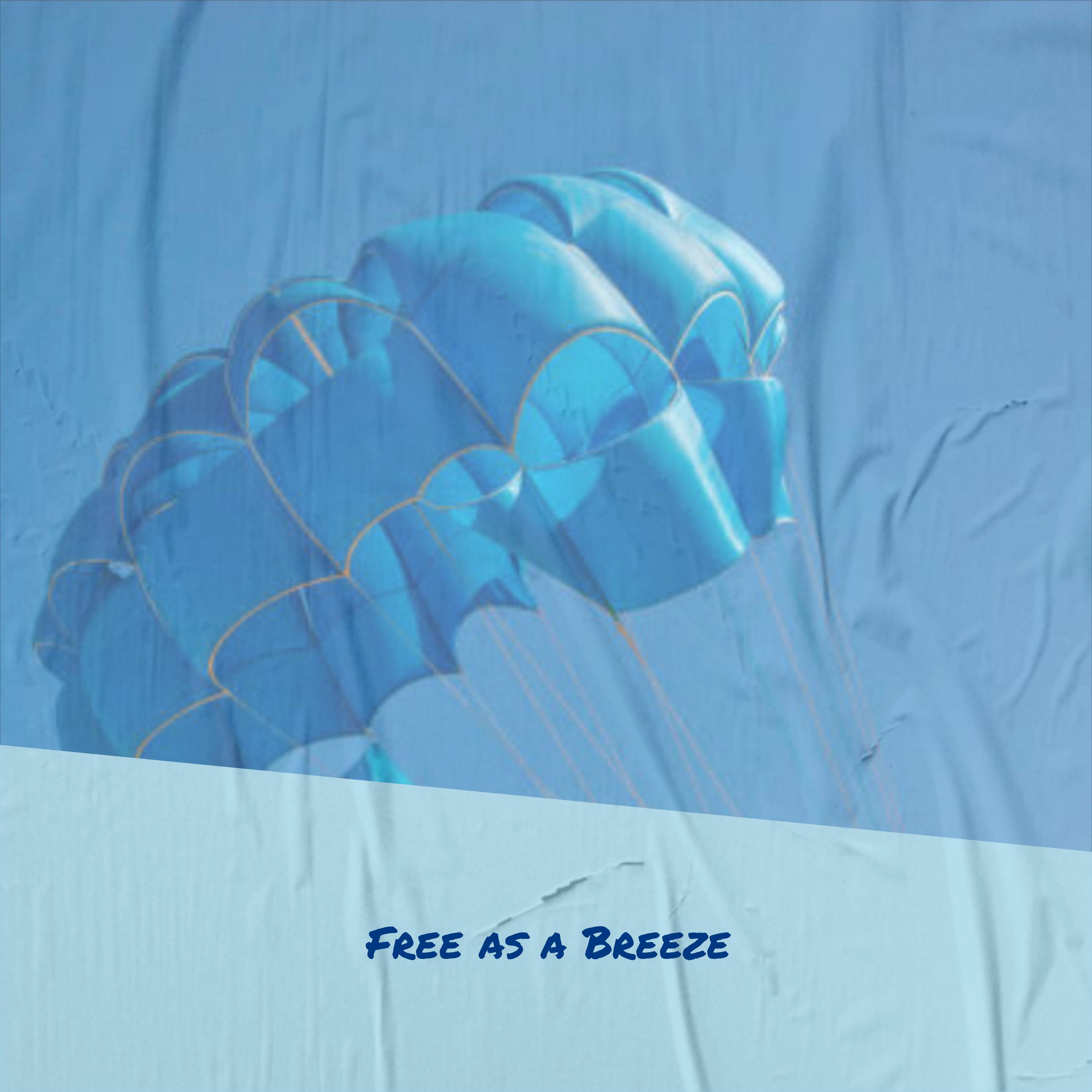 Free as a Breeze - Various Artist - 专辑 - 网易云音乐