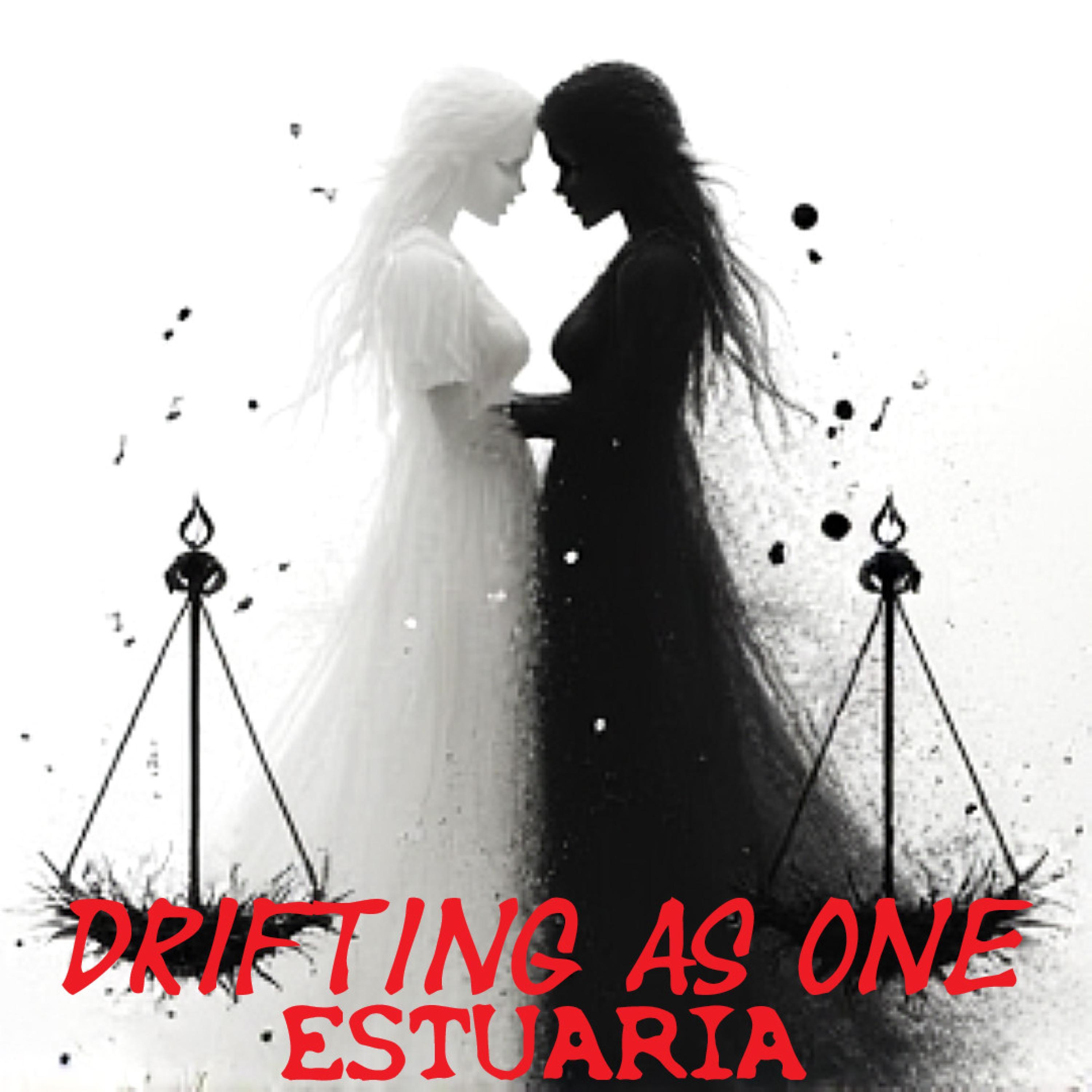 Soaring Through The Stars (feat. Femeren Sounds) - ESTUARIA/Femeren ...