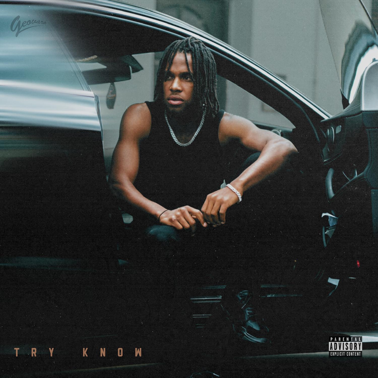 Try Know - Geovarn - 单曲 - 网易云音乐