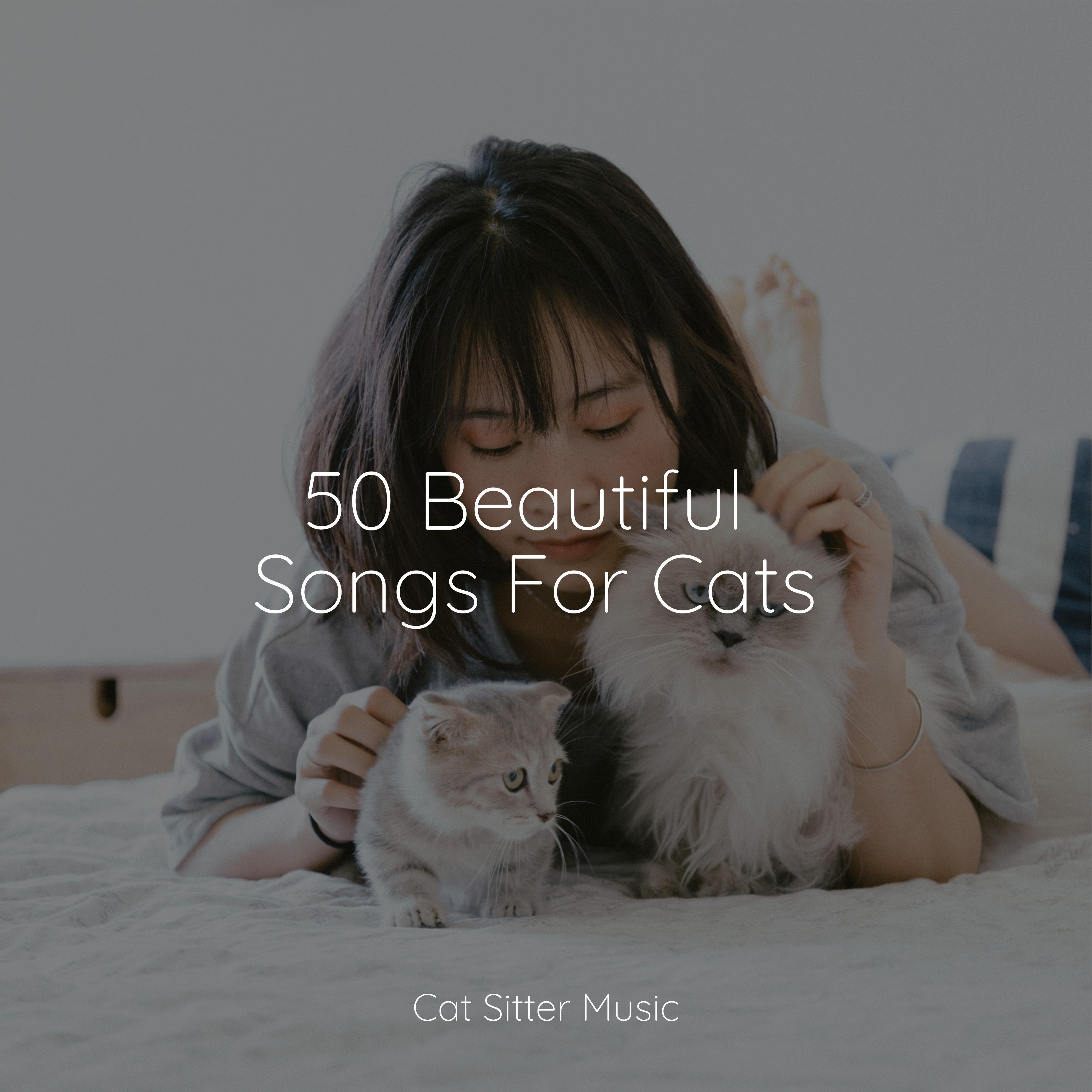 50 Beautiful Songs For Cats - Music for Pets Library - 专辑 - 网易云音乐