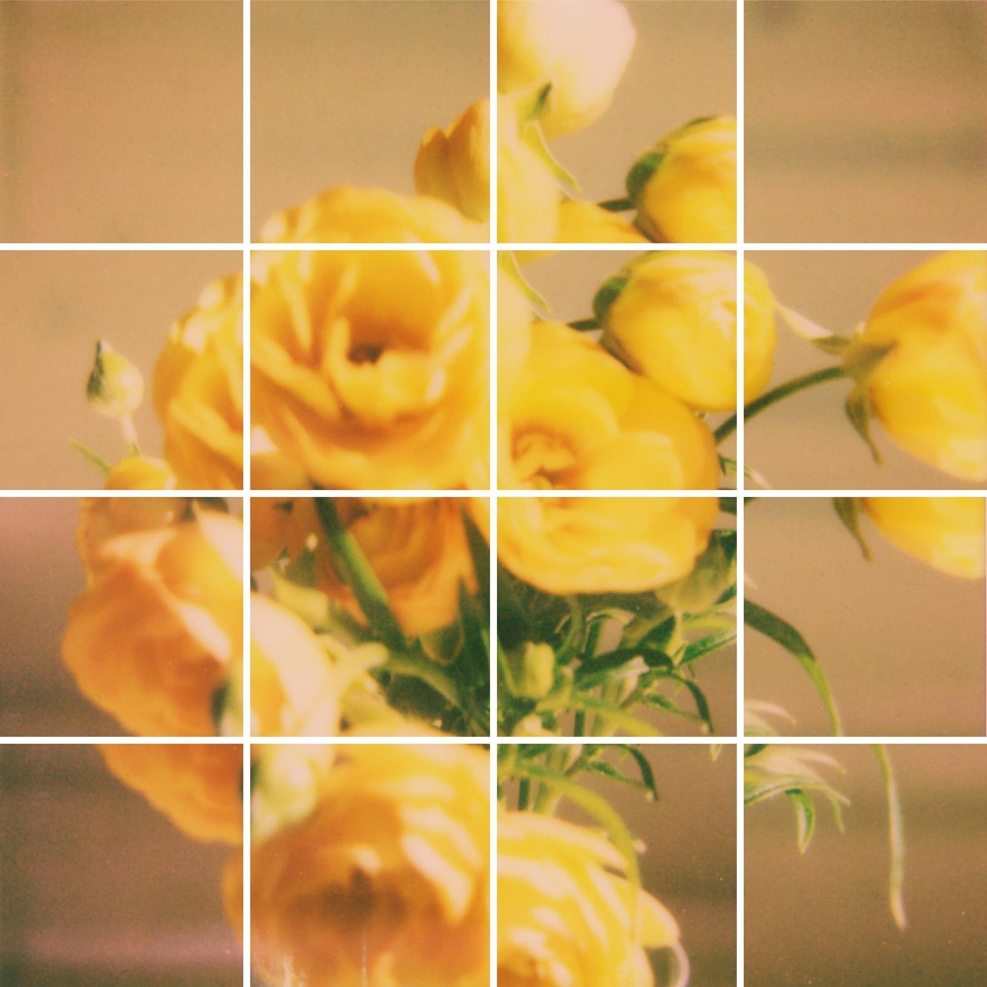 bae - 野田愛実（野田爱实，NODA EMI） - 专辑 - 网易云音乐