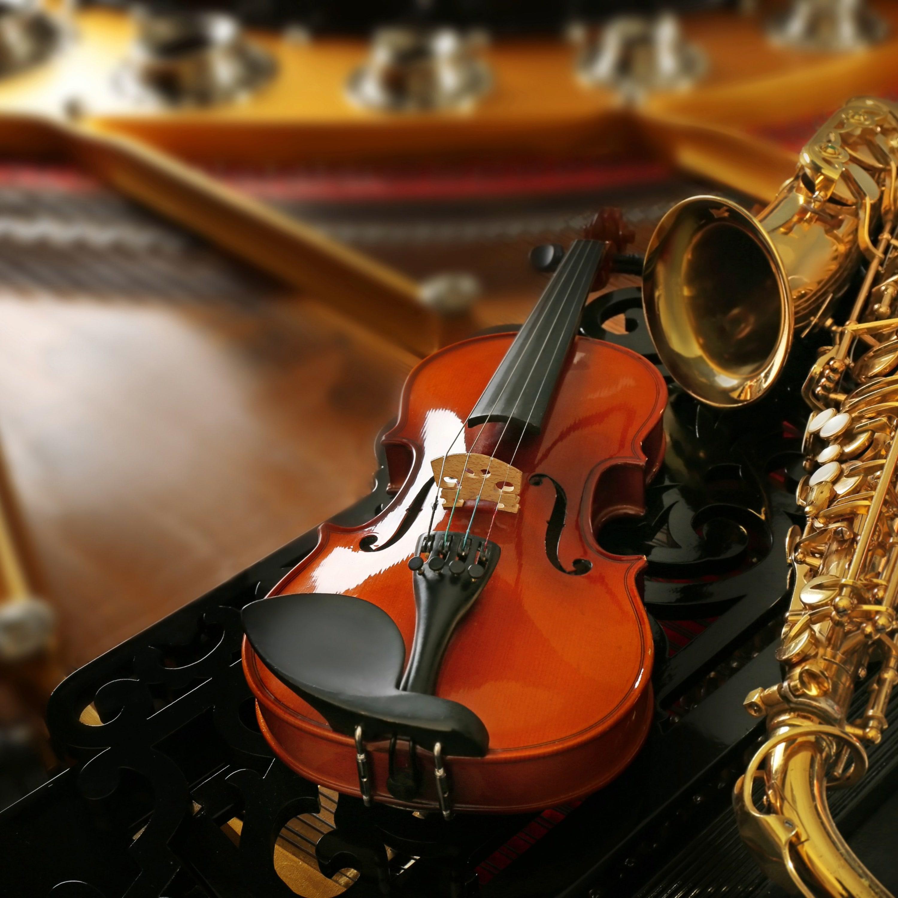 Gentle Echoes Calm Pets - Calm Dinner Music/Pet Songs/Pets Music ...