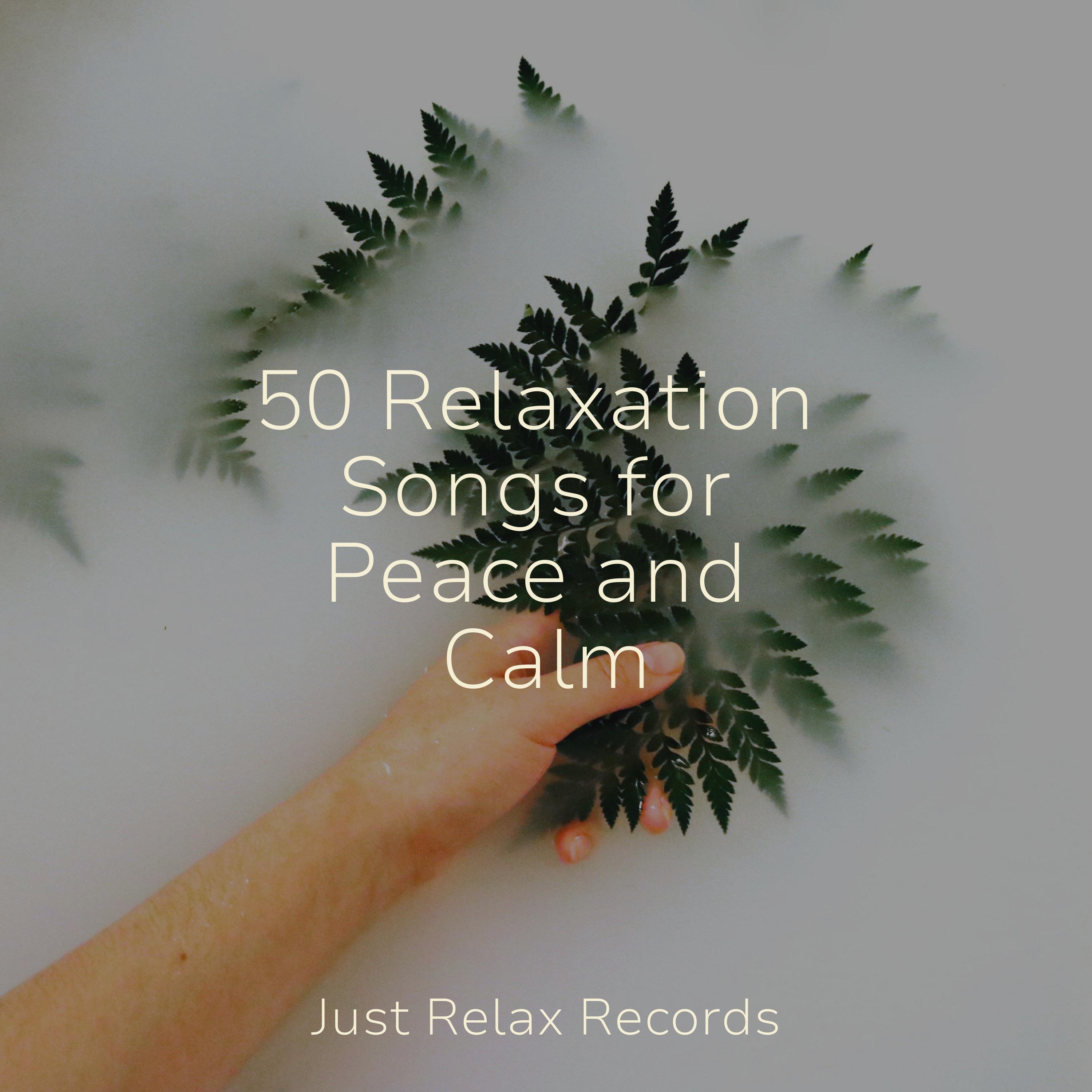 Meditative Melody of Ocean Bliss - Sleep Music Lullabies/Lucid Dreaming ...