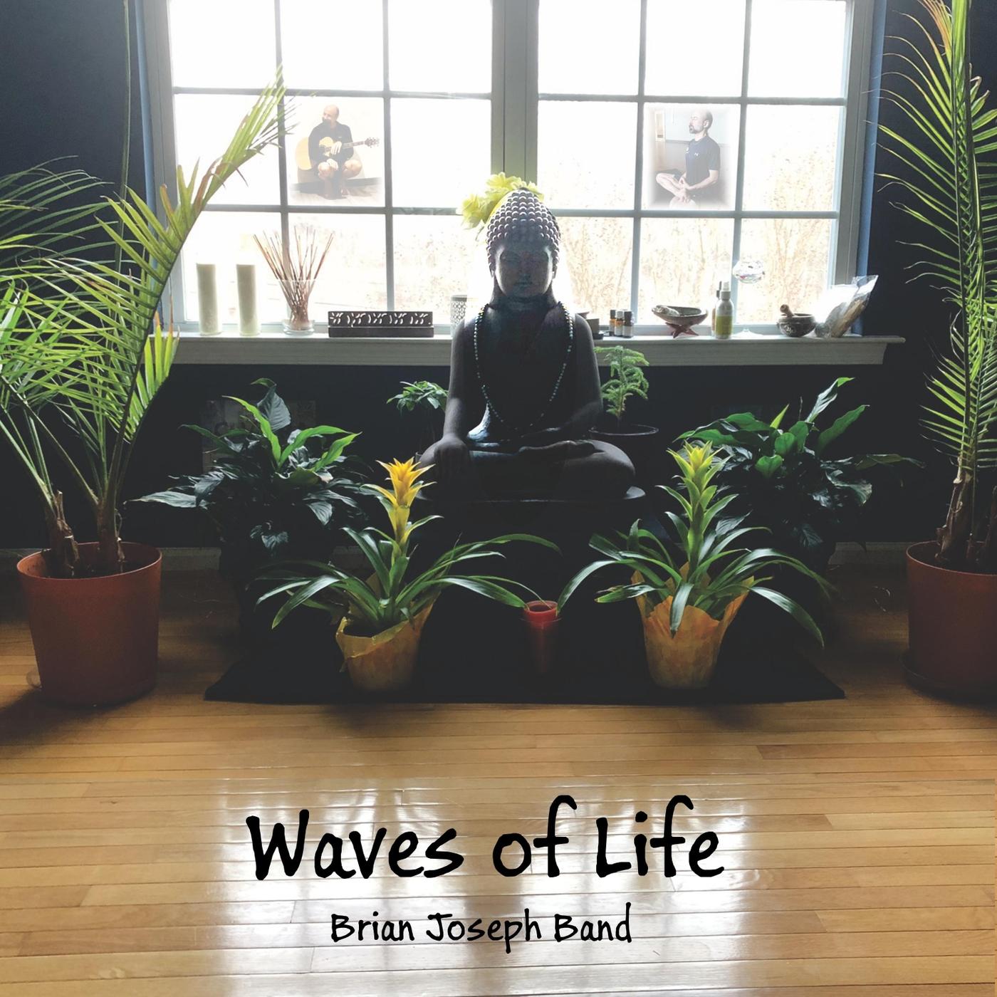 Waves of Life - Brian Joseph Band - 专辑 - 网易云音乐