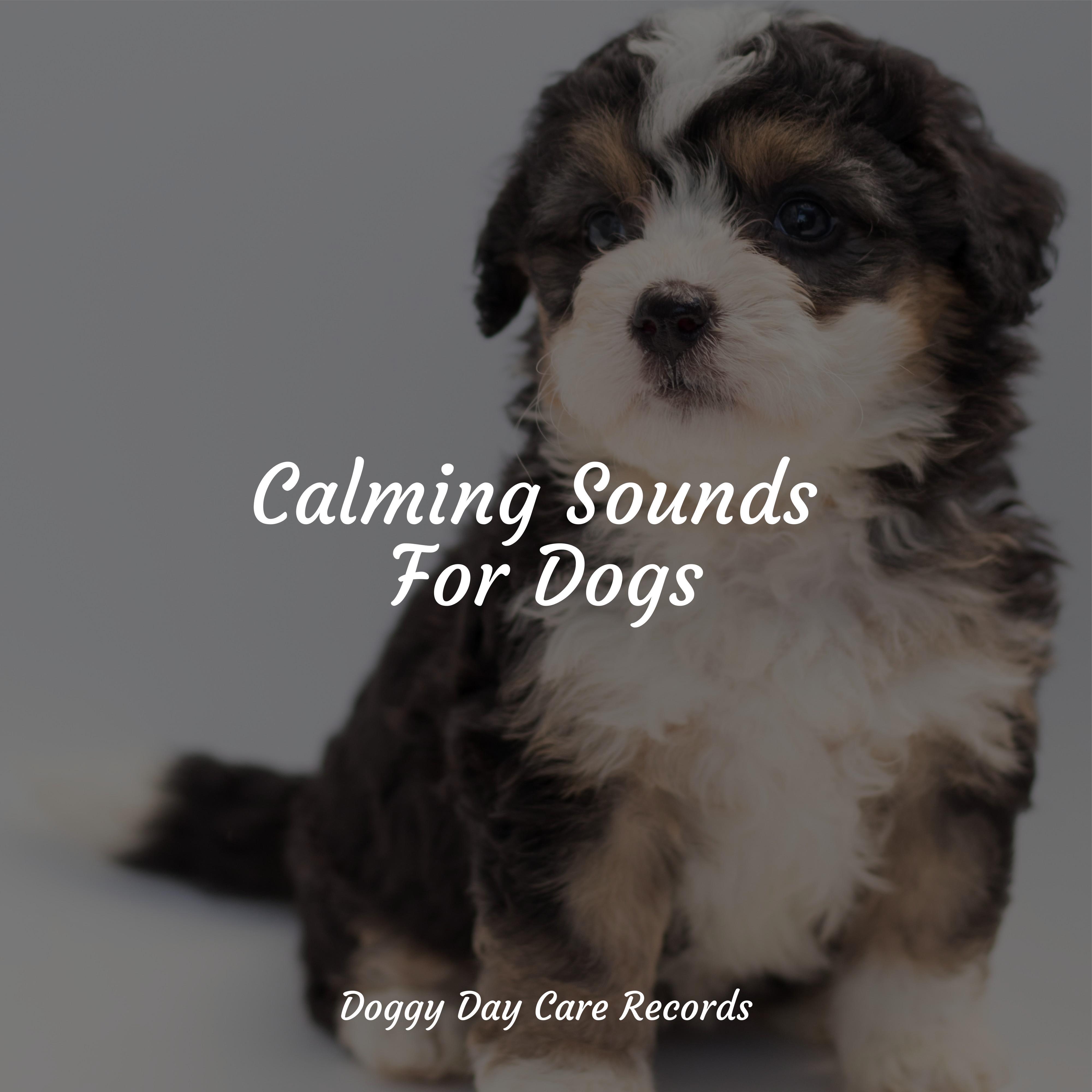 Take a Break - Sleep Music For Dogs/Jazz Music for Dogs/Dog Music - 单曲 ...