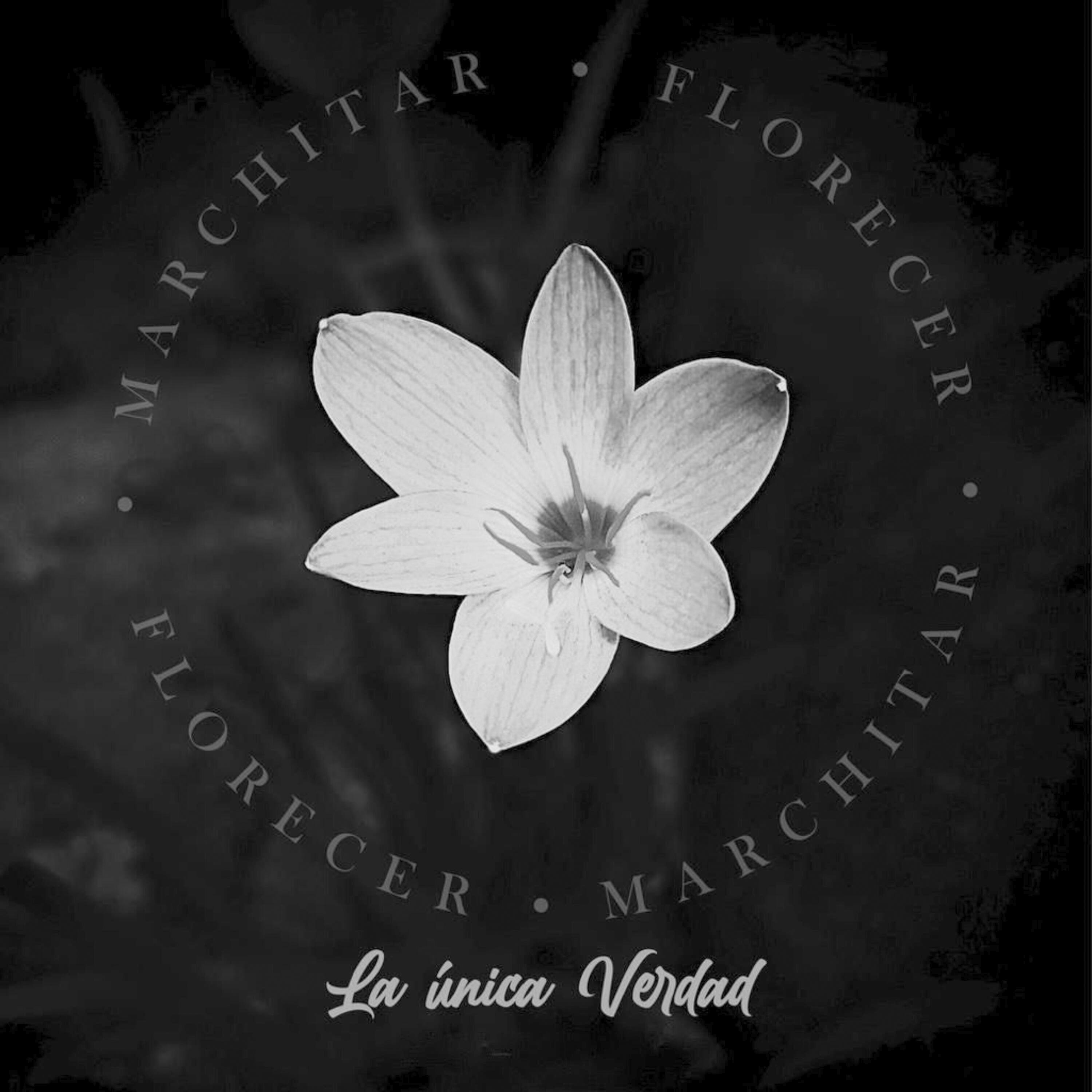 La Única Verdad - Austin's Phobias/RIcardo Gil - 单曲 - 网易云音乐