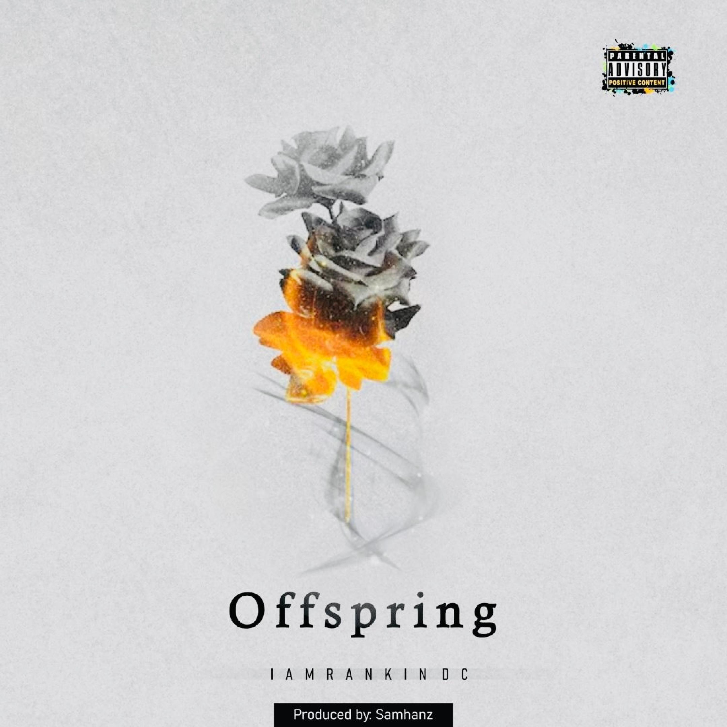 Offspring - IamRankin DC - 单曲 - 网易云音乐