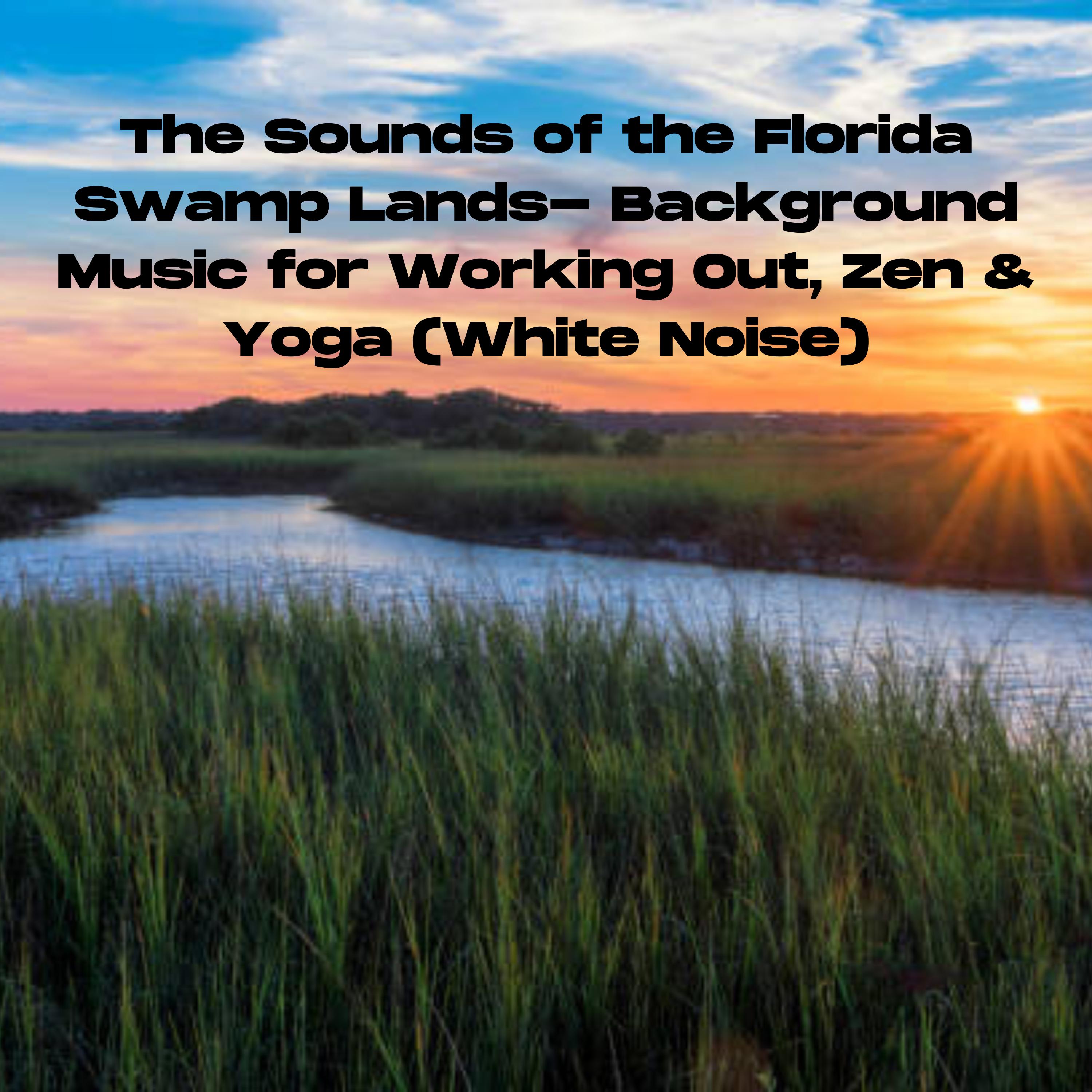 The Sounds of the Florida Swamp Lands- Background Music for Working Out ...