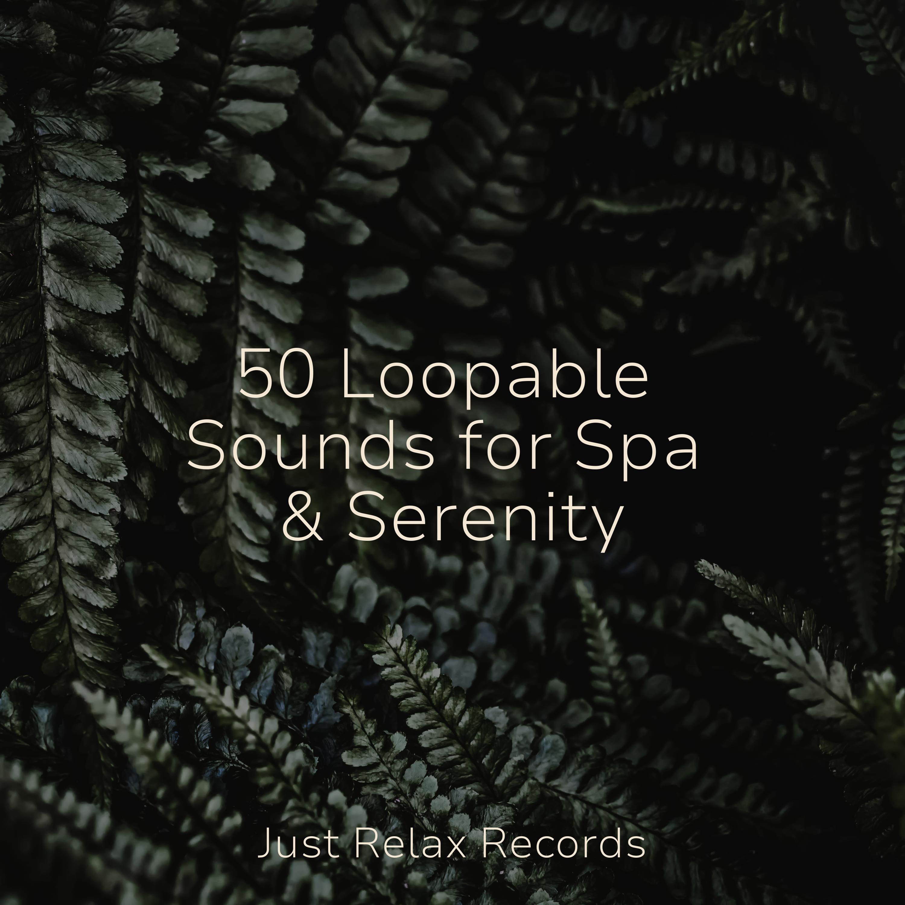 Whispers in a Forgotten Sky - Música a Relajarse/Musica Romantica ...