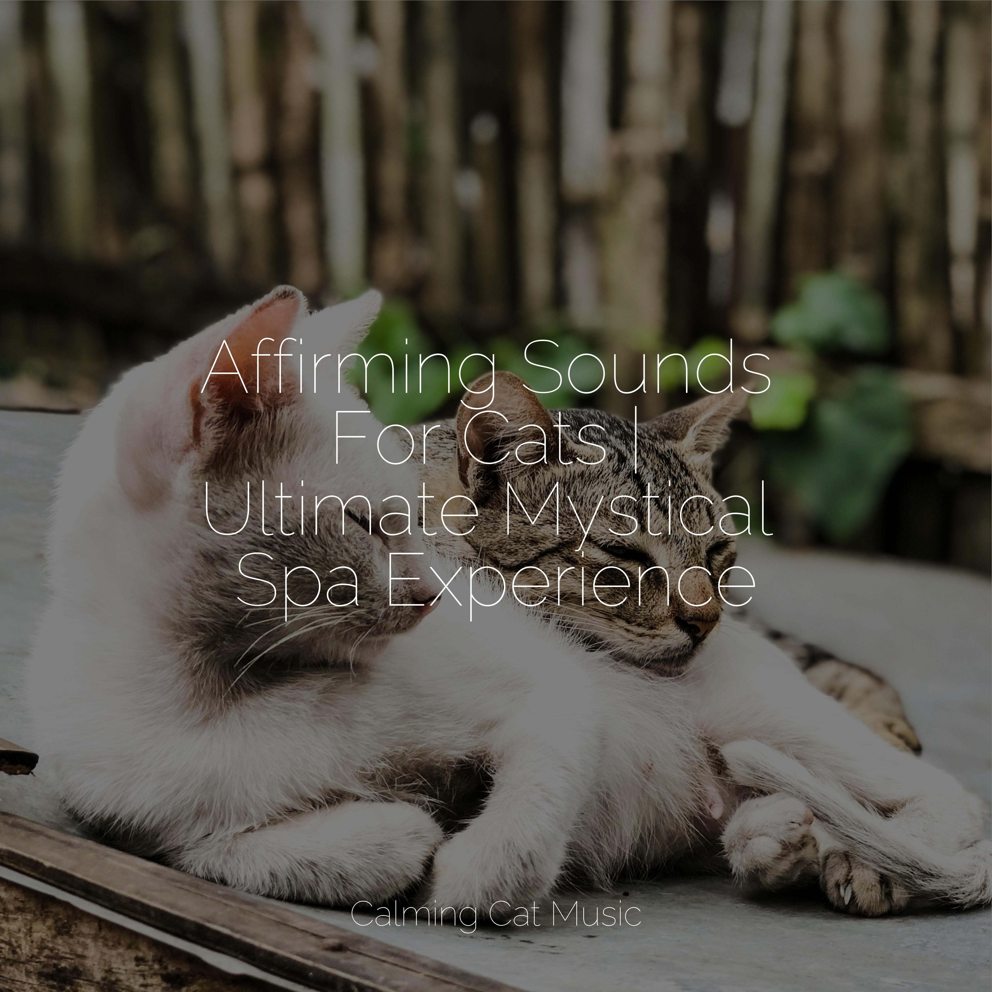 Ocean Waves - Jazz Music for Cats/Music for Resting Cats/Music for ...