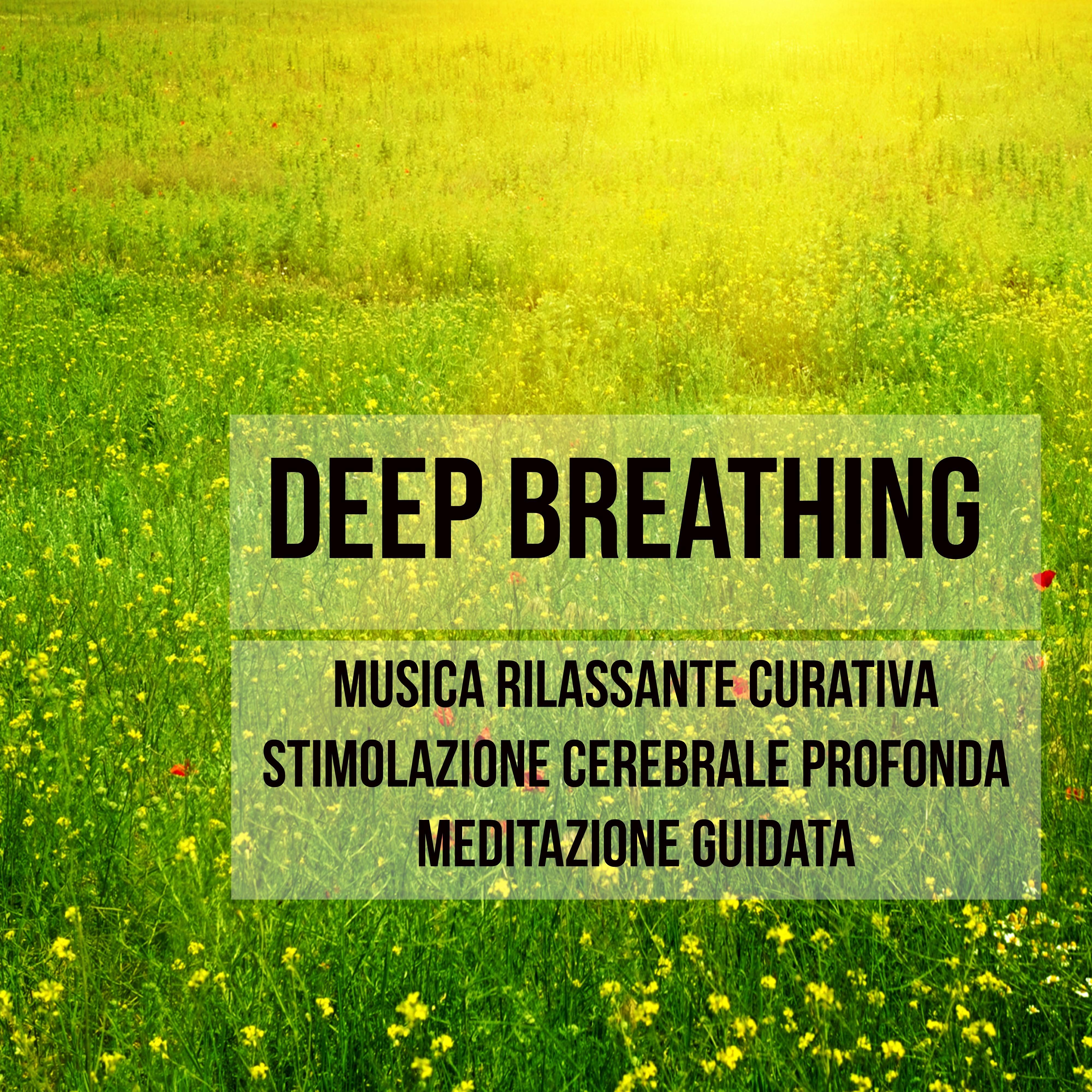 Deep Breathing (Buddhist Meditation) - Relaxing Mindfulness Meditation ...