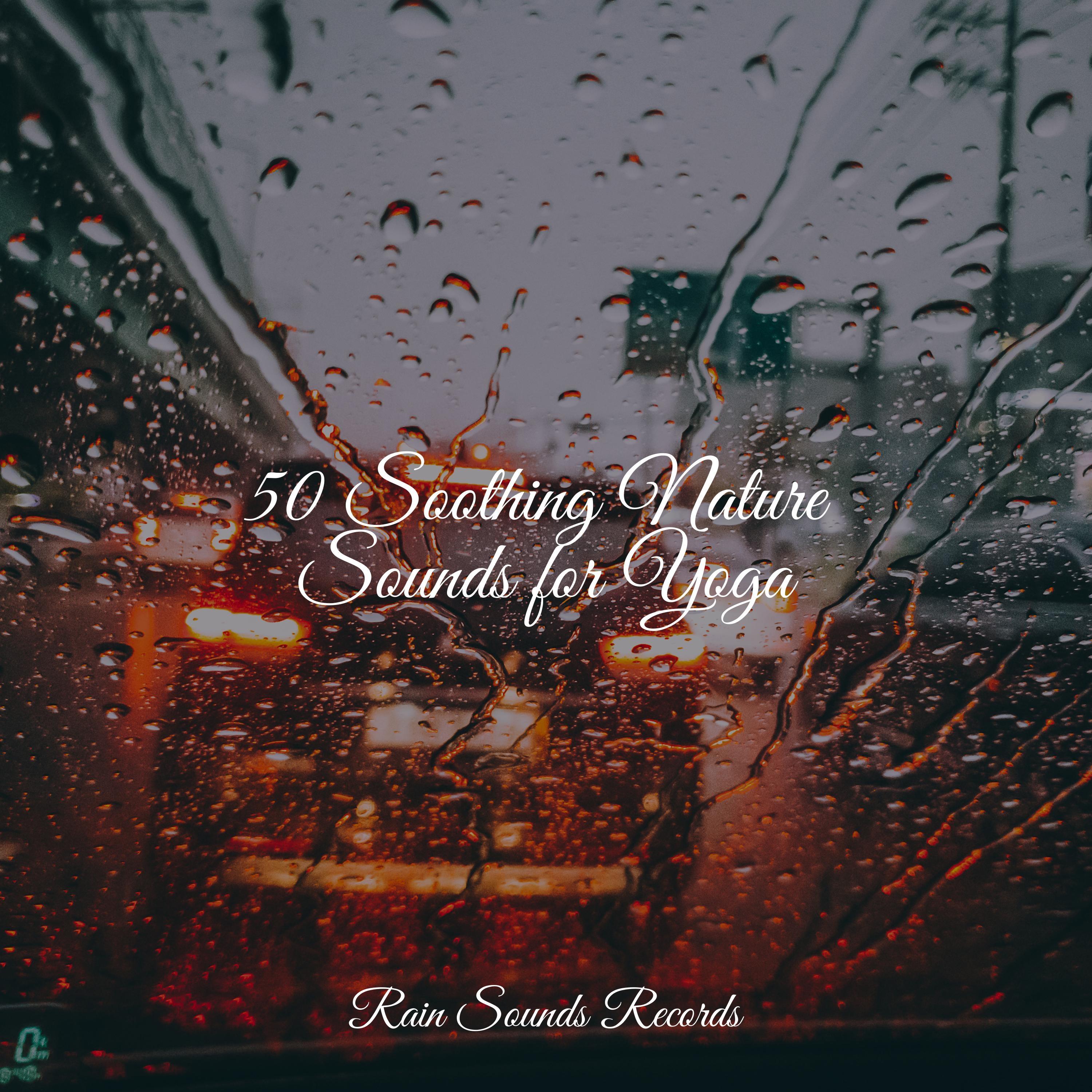 Murmuring Breezes A Soothing Melody - Soothing Sounds/Canción de Cuna ...