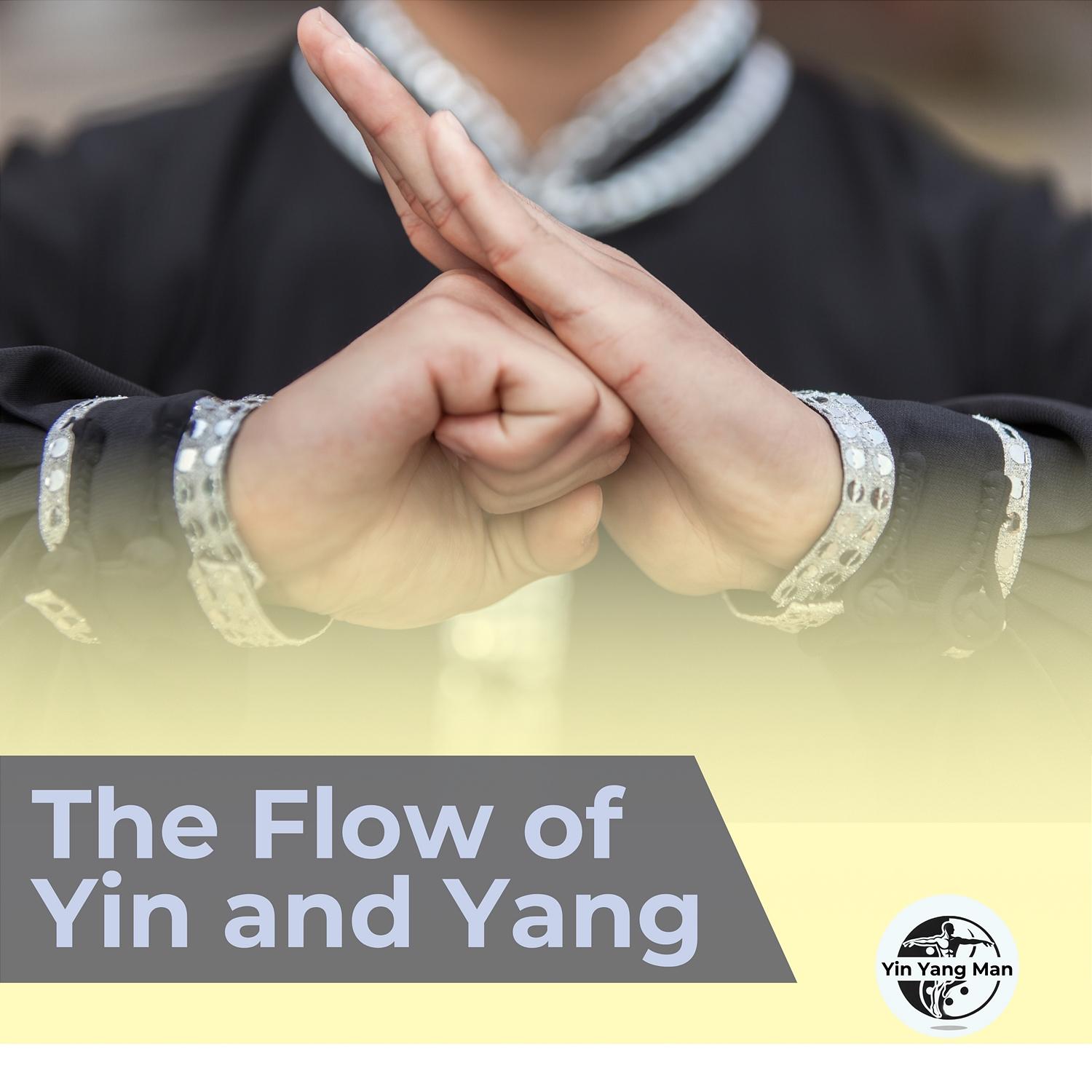 The Flow of Yin and Yang - Asian Zen Meditation/Yin Yang Man - 单曲 - 网易云音乐