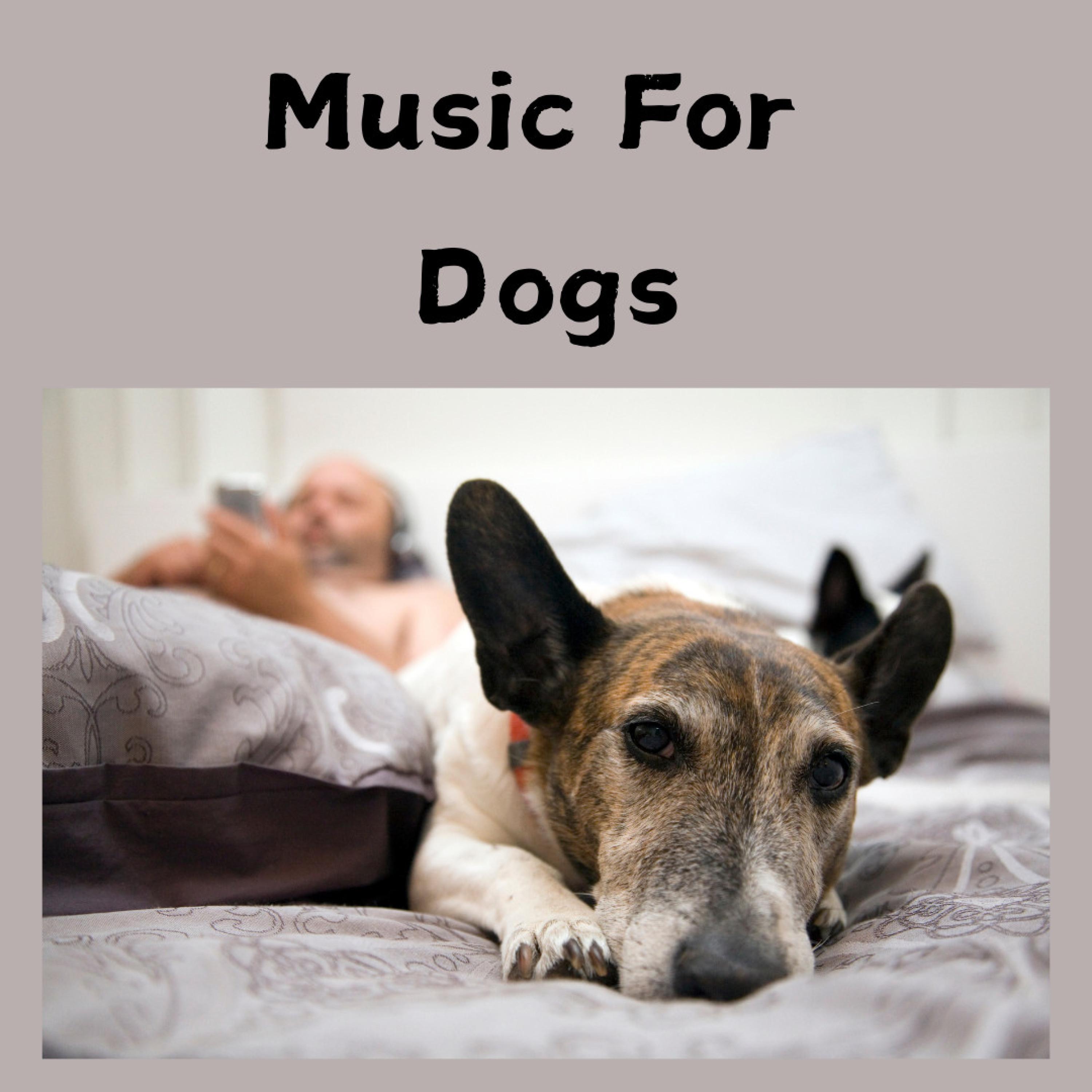 Soothing Sounds - Music For Dogs/Music For Dogs Peace/Relaxing Puppy ...