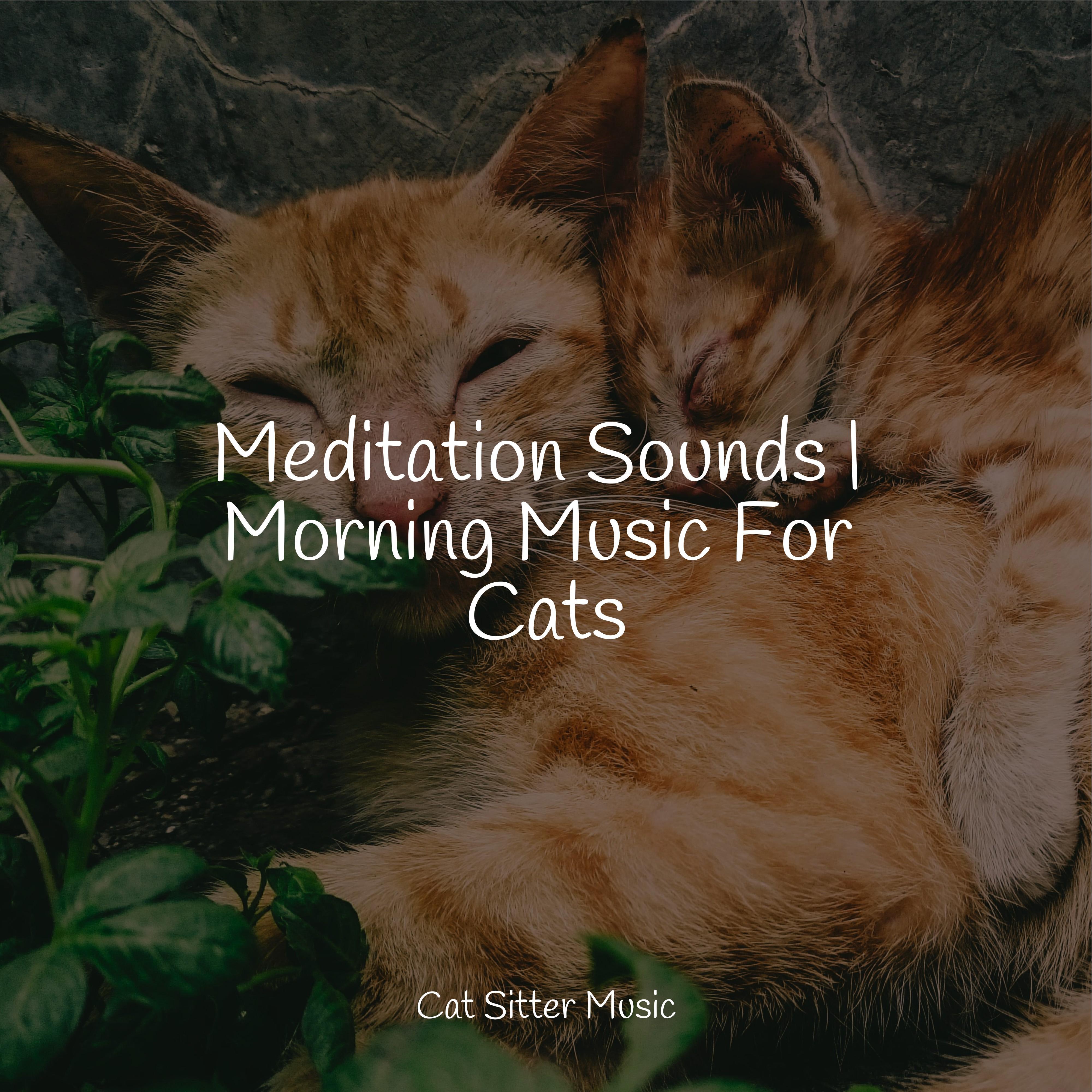 Low Frequency Waves - Jazz Music for Cats/Music for Cats Project/Music ...