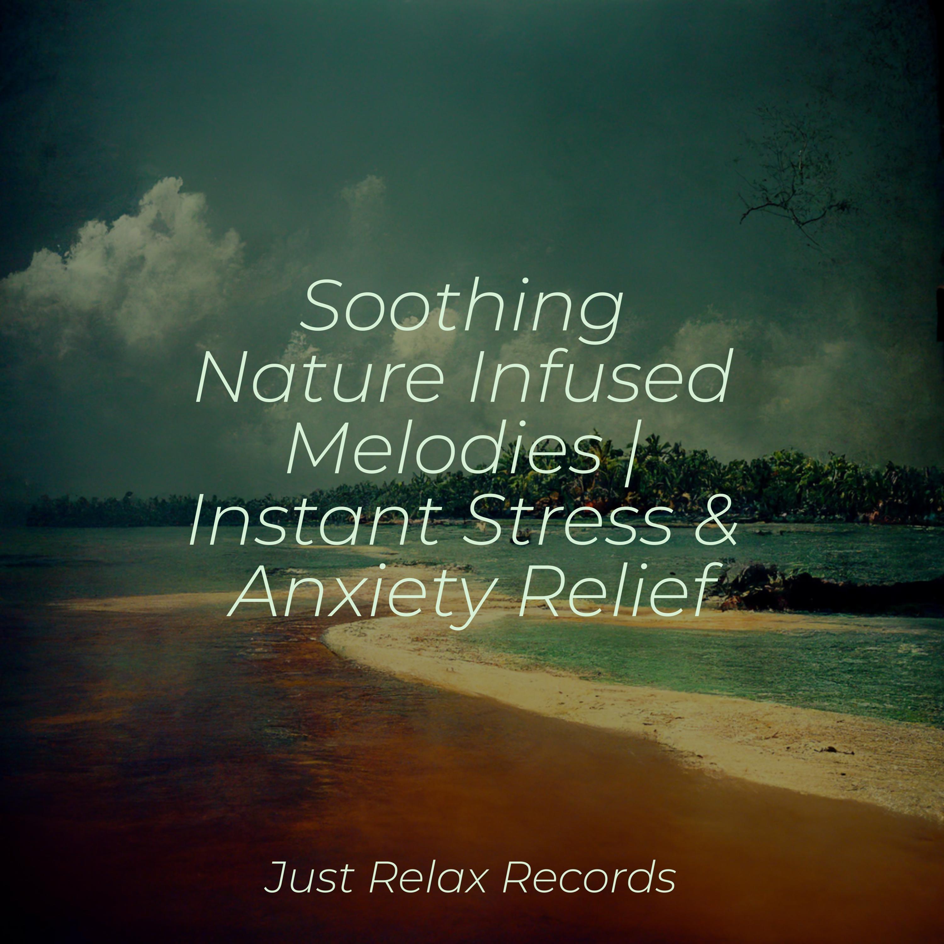 Soothing Nature Infused Melodies | Instant Stress & Anxiety Relief ...