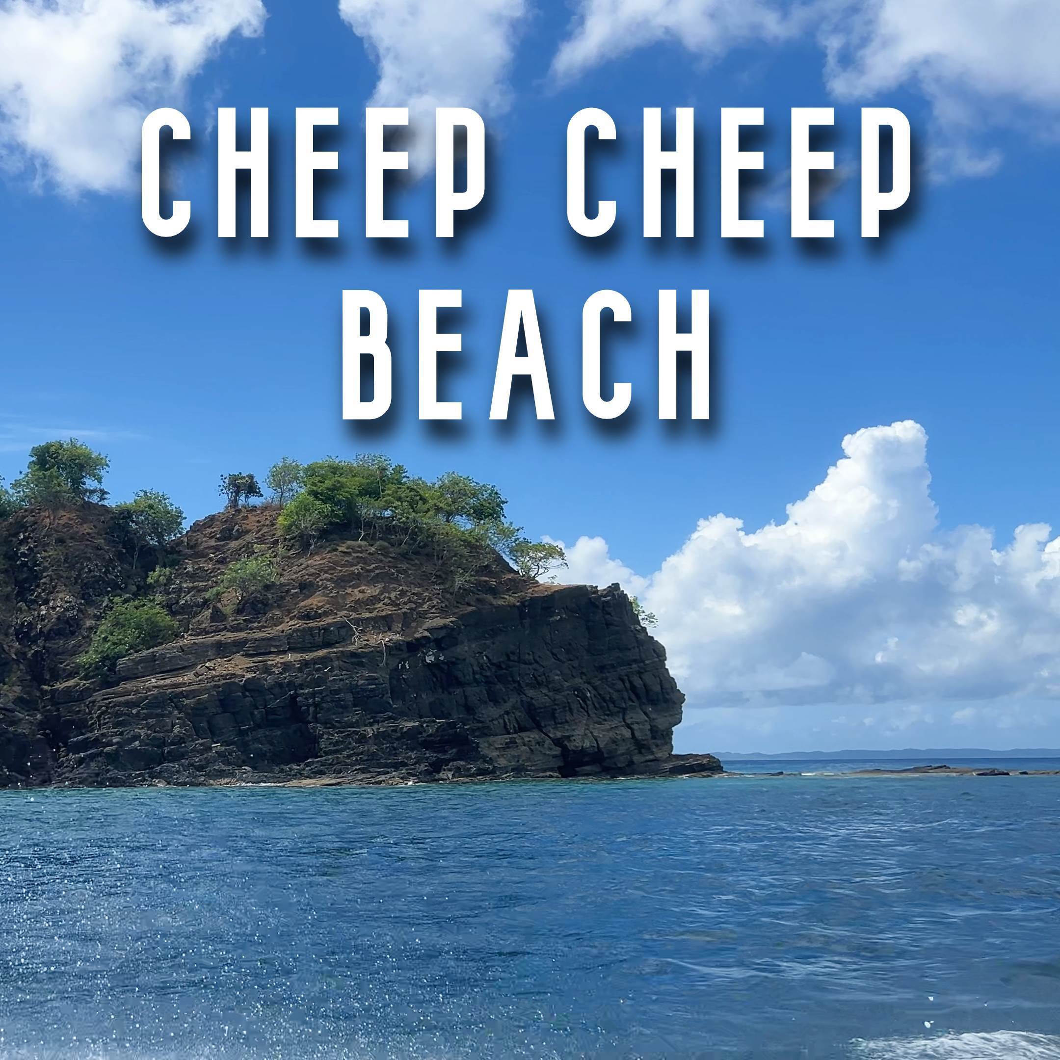 Cheep Cheep Beach (from: "Mario Kart World") - Nico Mendoza/Andrew ...