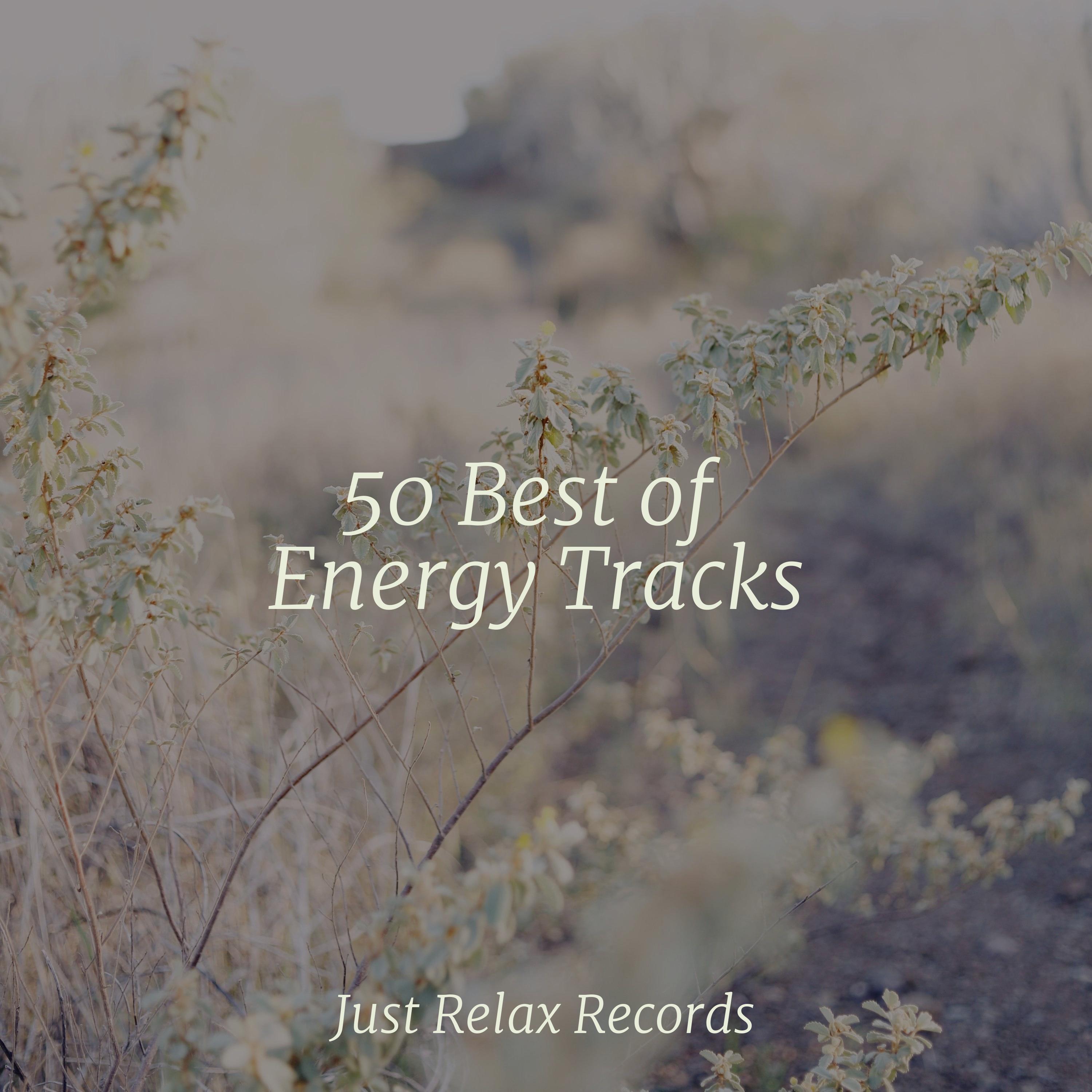 50 Best of Energy Tracks - Spa Relaxation & Spa - 专辑 - 网易云音乐