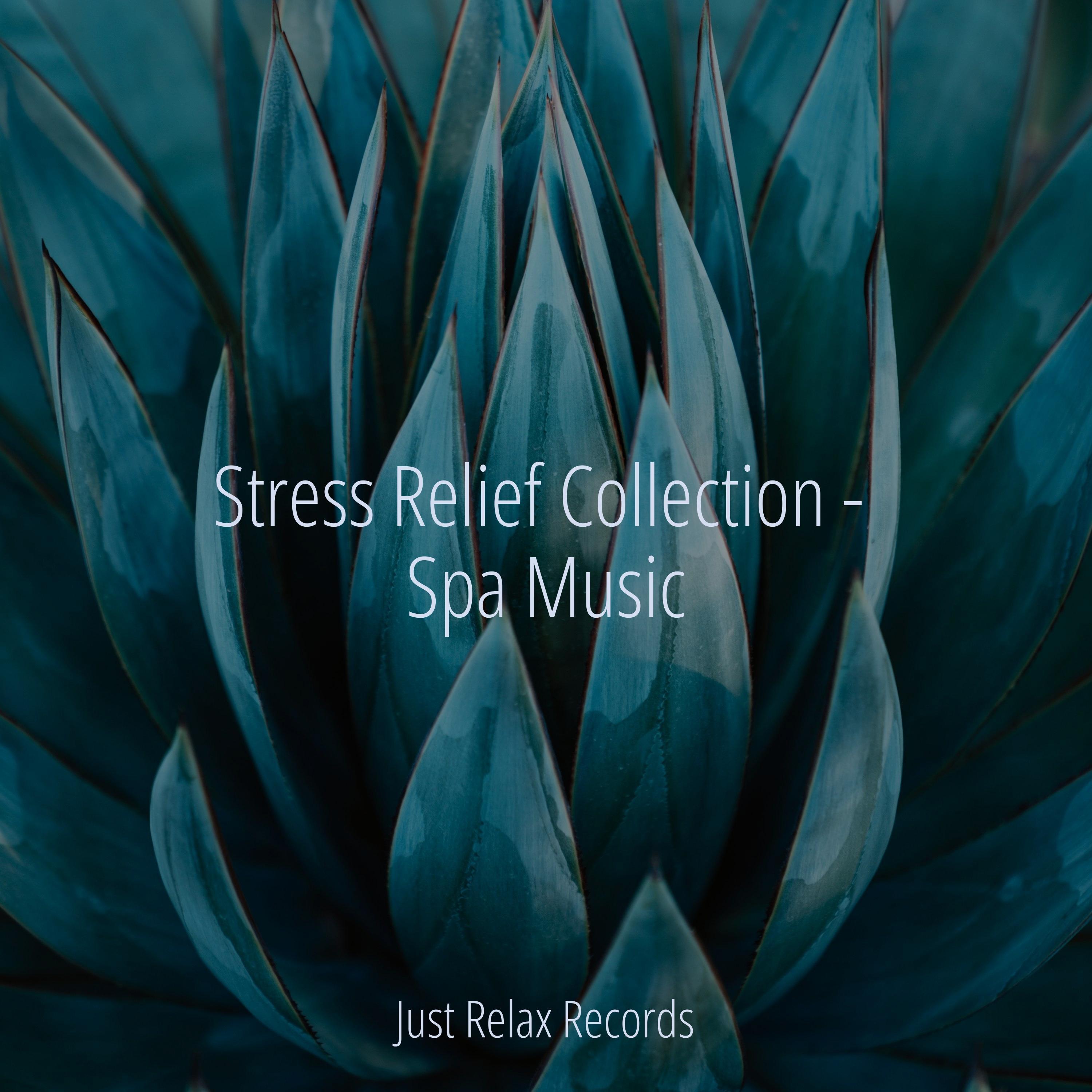 Solitary Rhythmic Cascades - Meditation Relaxation Club/Ambient - 单曲 ...