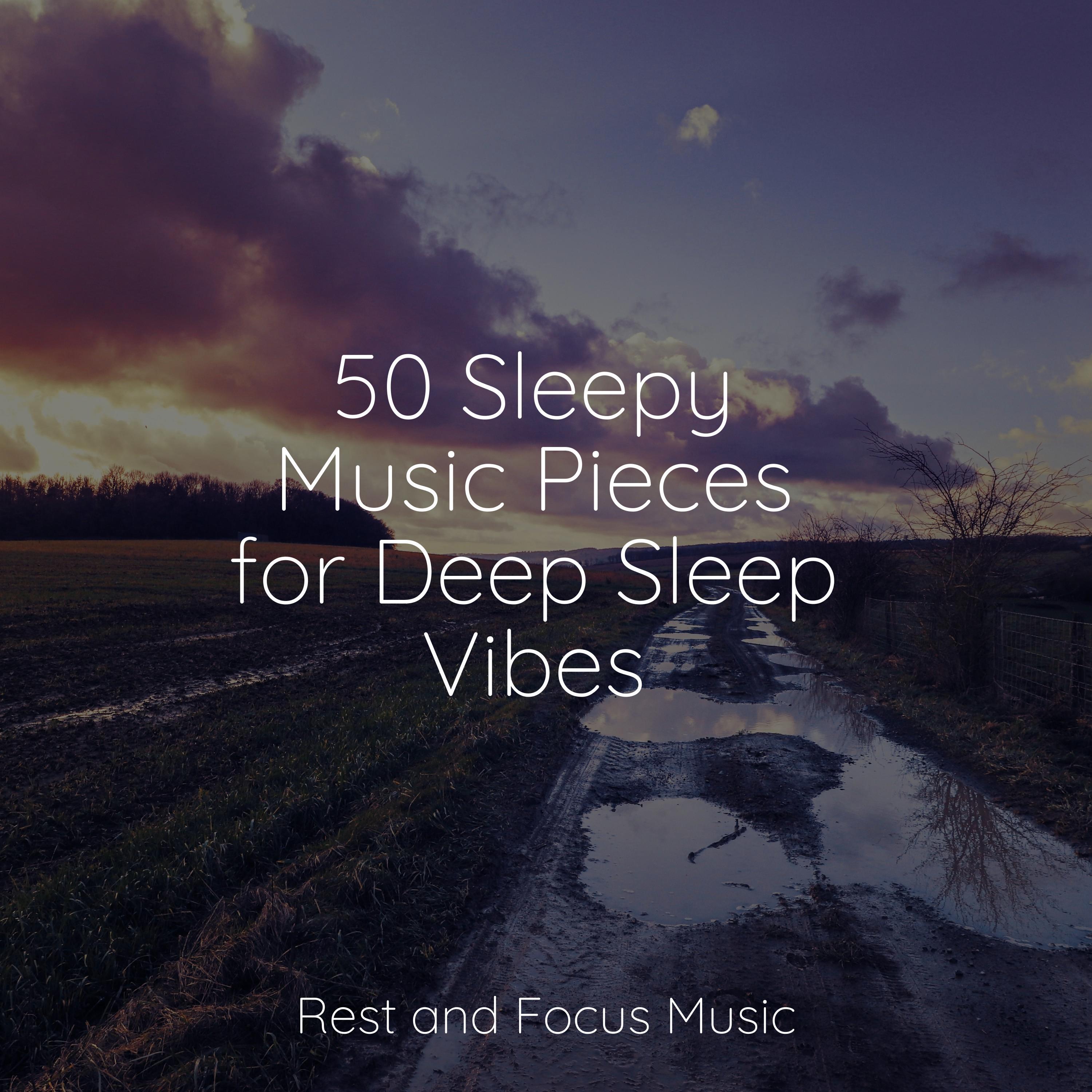 50 Sleepy Music Pieces for Deep Sleep Vibes - Namaste Healing Yoga - 专辑 ...