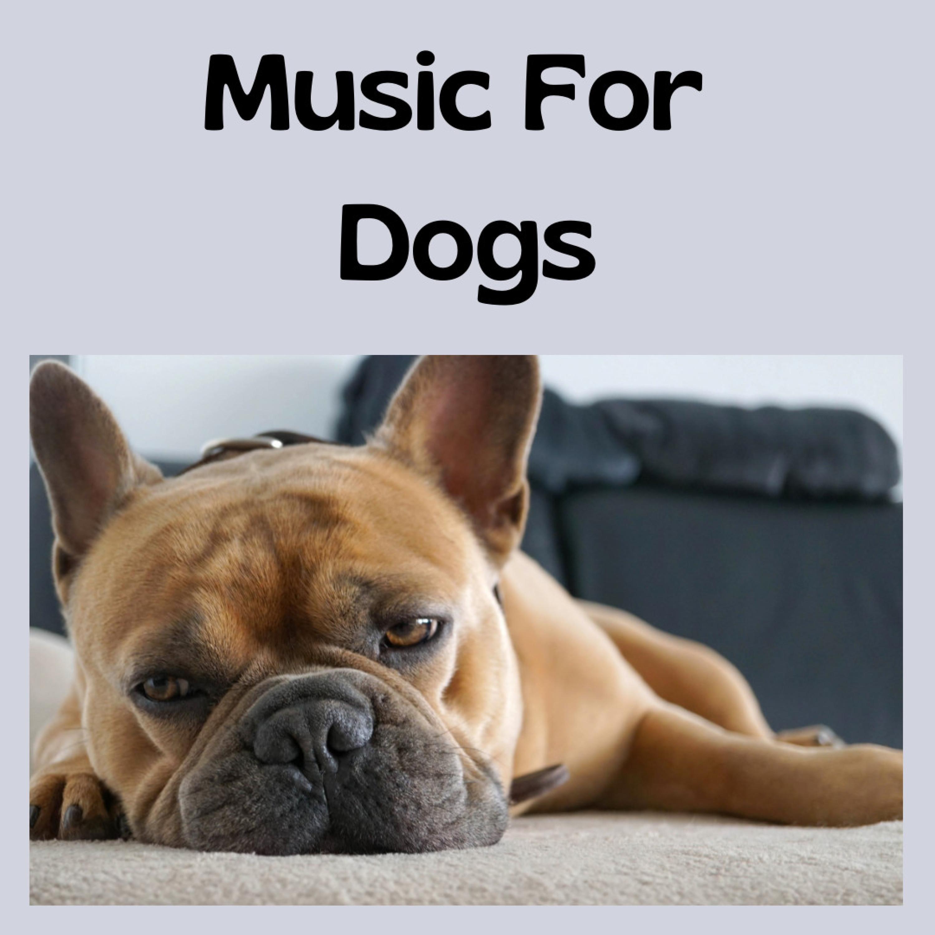 Chill my Dog - Music For Dogs/Music For Dogs Peace/Relaxing Puppy Music ...