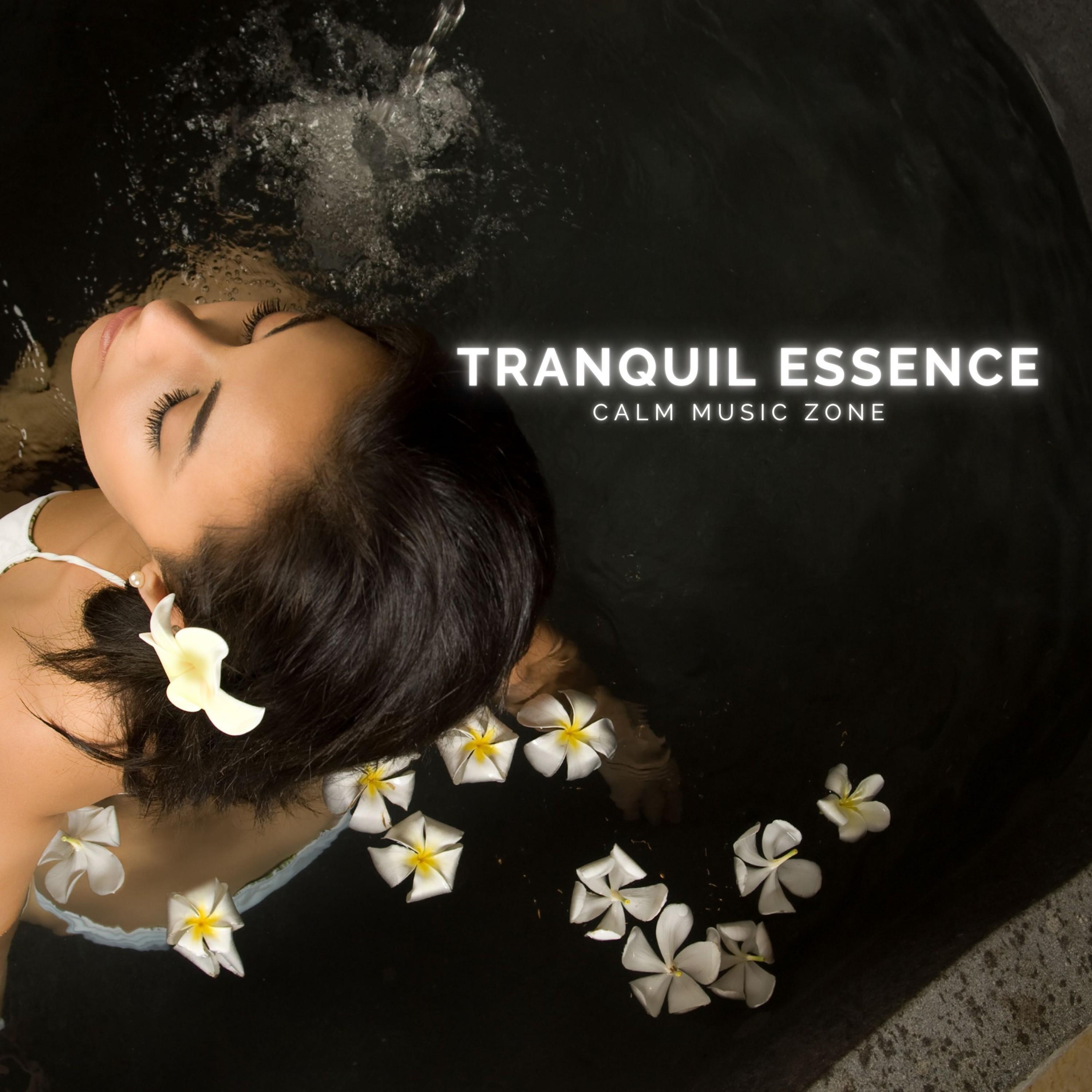Quiet Tranquility - Calm Music Zone - 单曲 - 网易云音乐