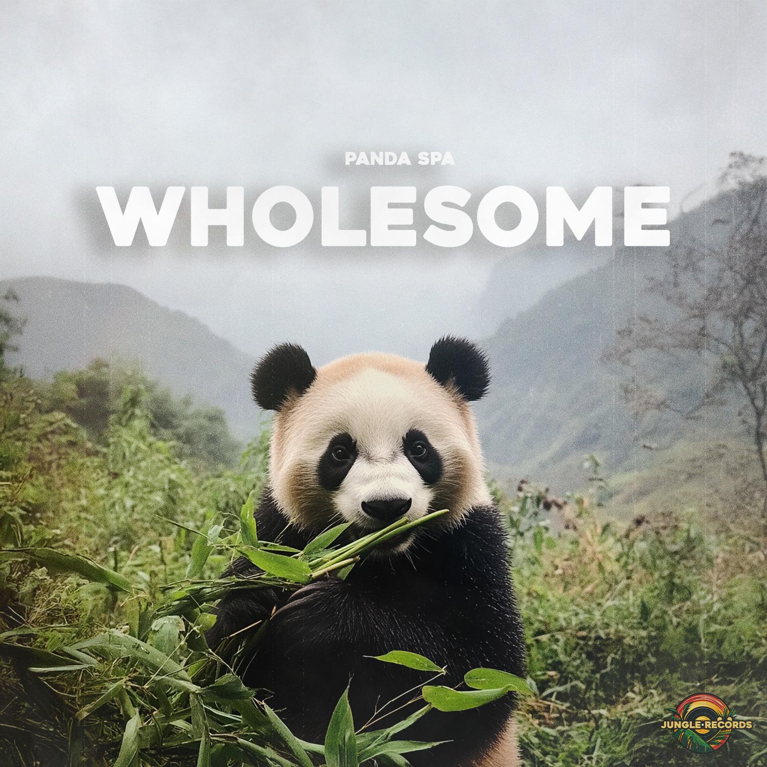 Heartfelt Harmony - Panda Spa/Panda Sleep/Panda Music - 单曲 - 网易云音乐