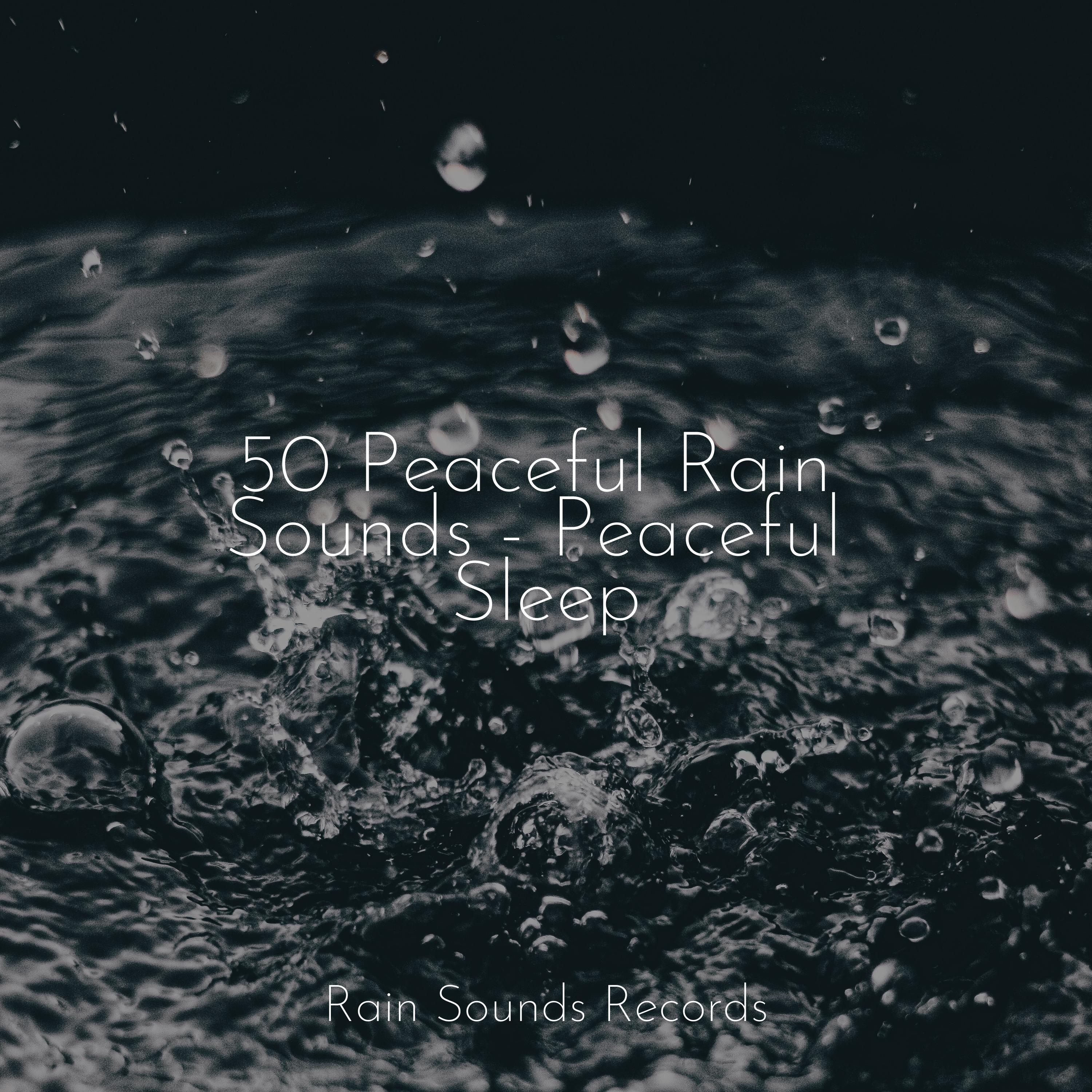 50 Peaceful Rain Sounds - Peaceful Sleep - Chillout Lounge - 专辑 - 网易云音乐