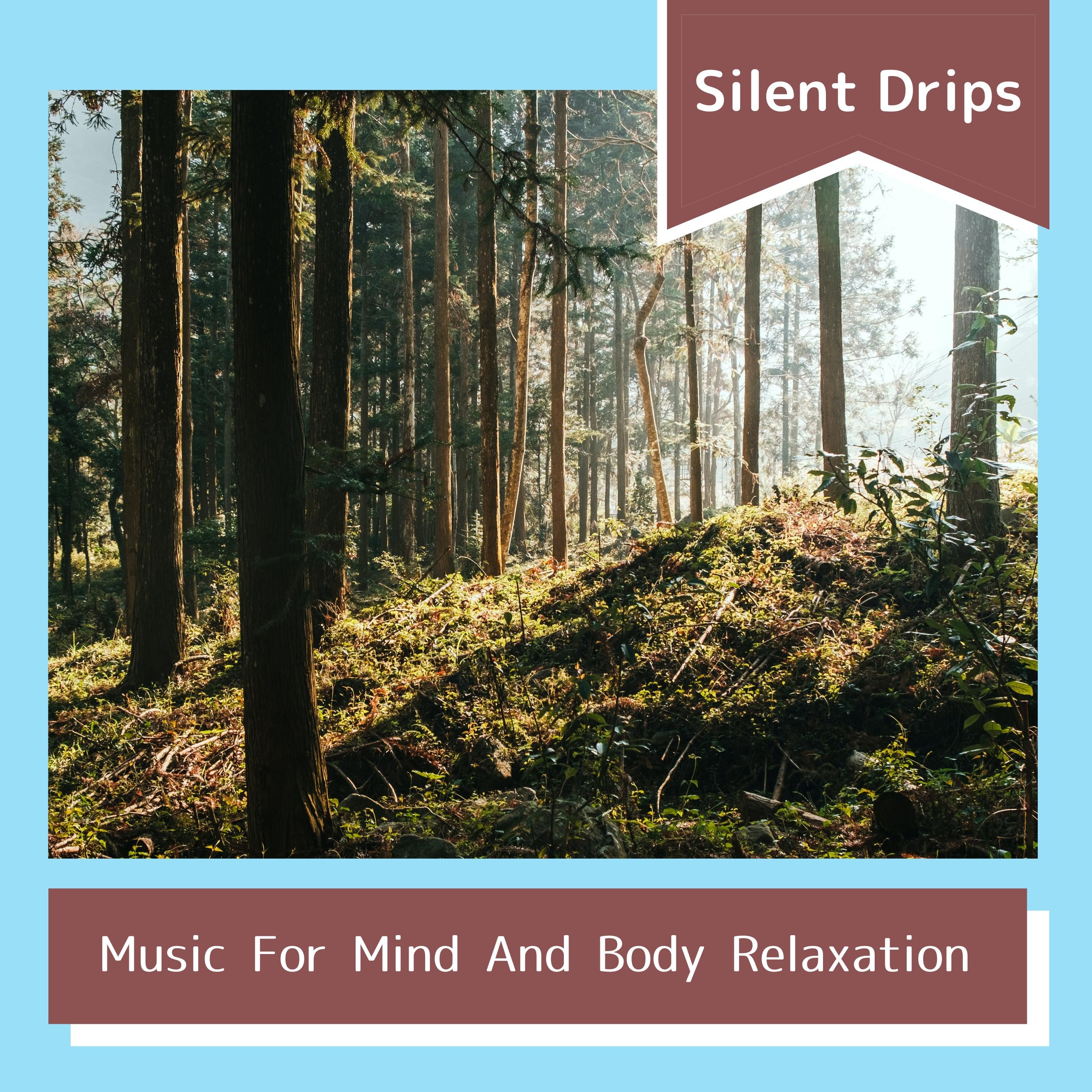 Velvet Solitude Embrace - Silent Drips - 单曲 - 网易云音乐