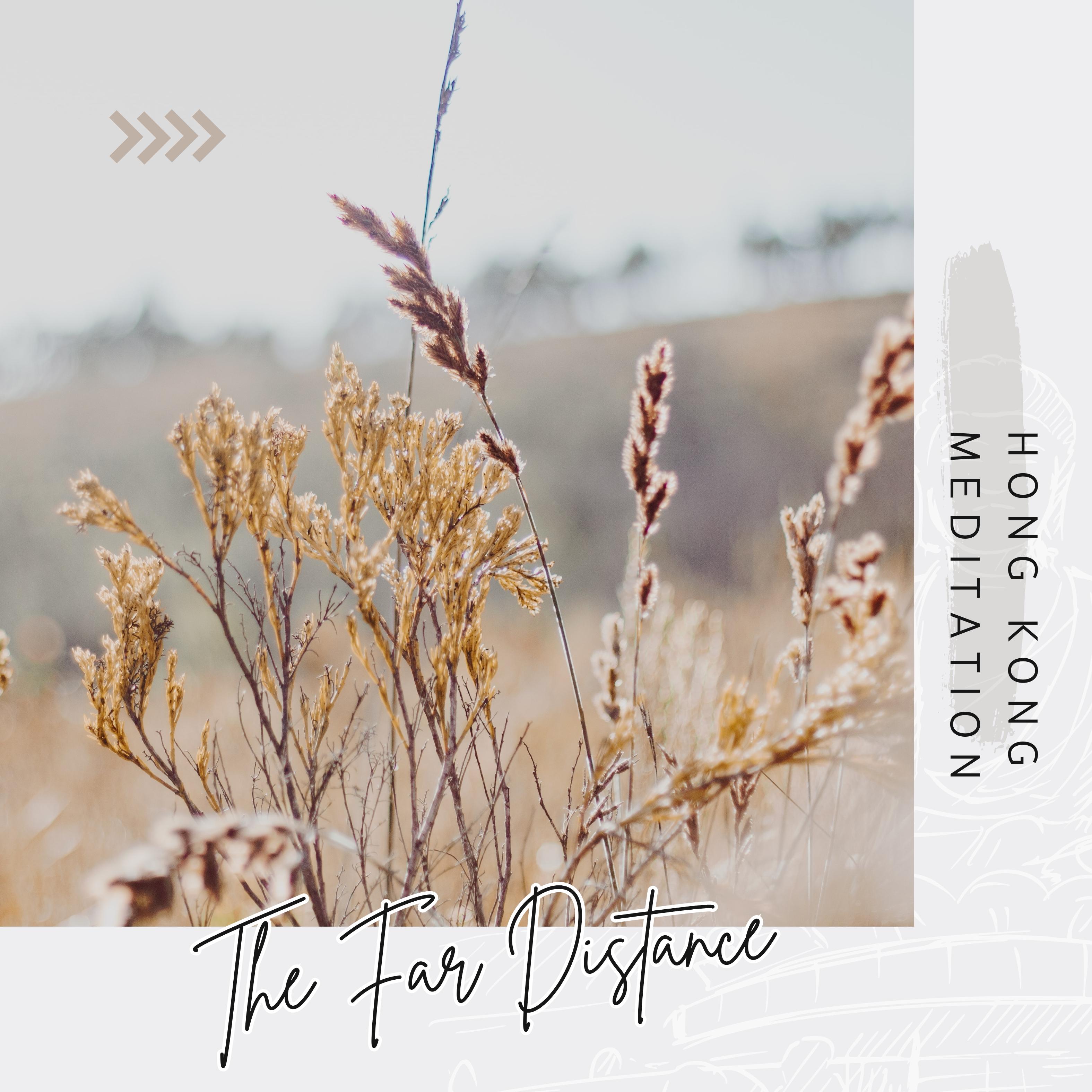 The Core of My Spirit - Hong Kong Meditation - 单曲 - 网易云音乐