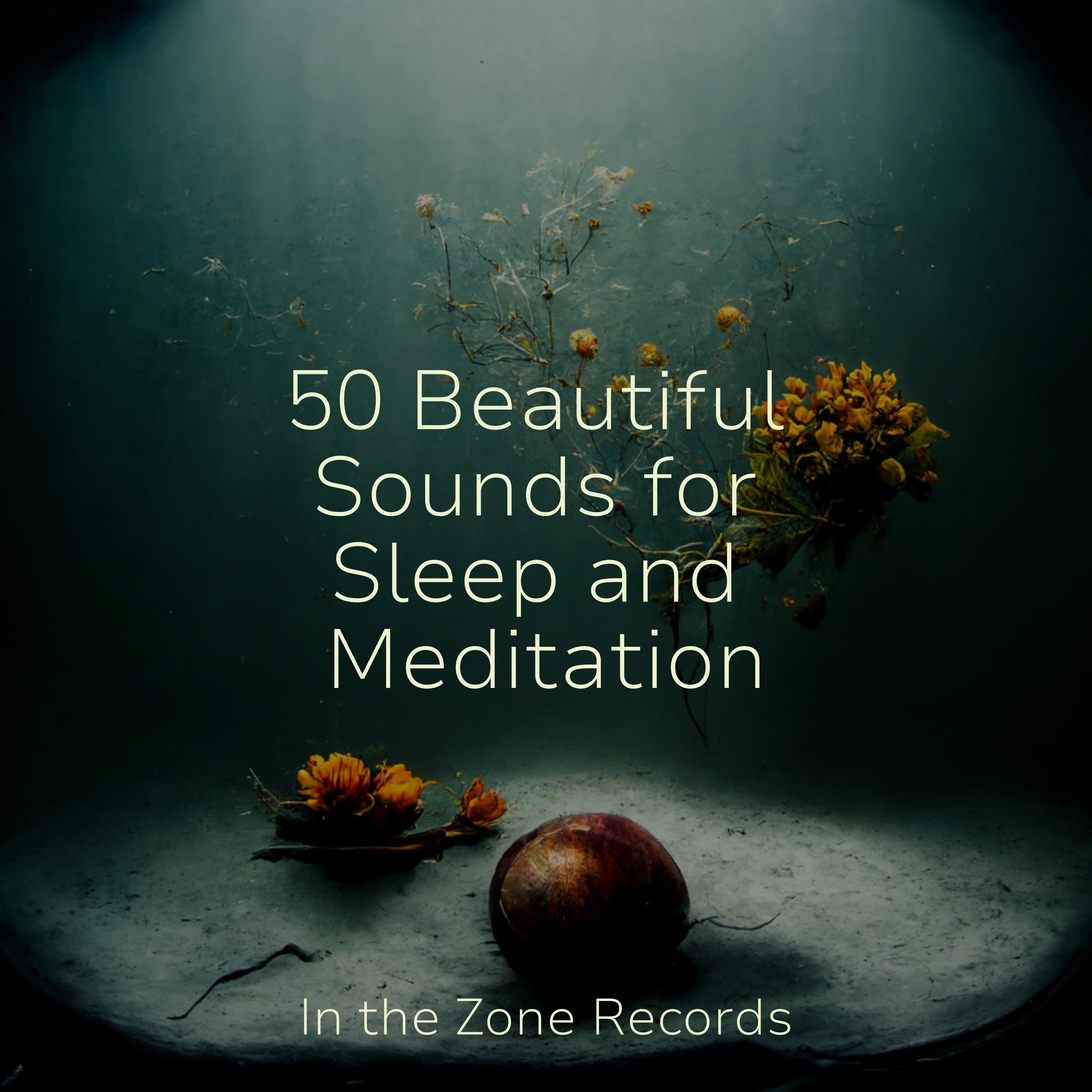 50 Beautiful Sounds for Sleep and Meditation - Calming Sounds - 专辑 - 网易云音乐