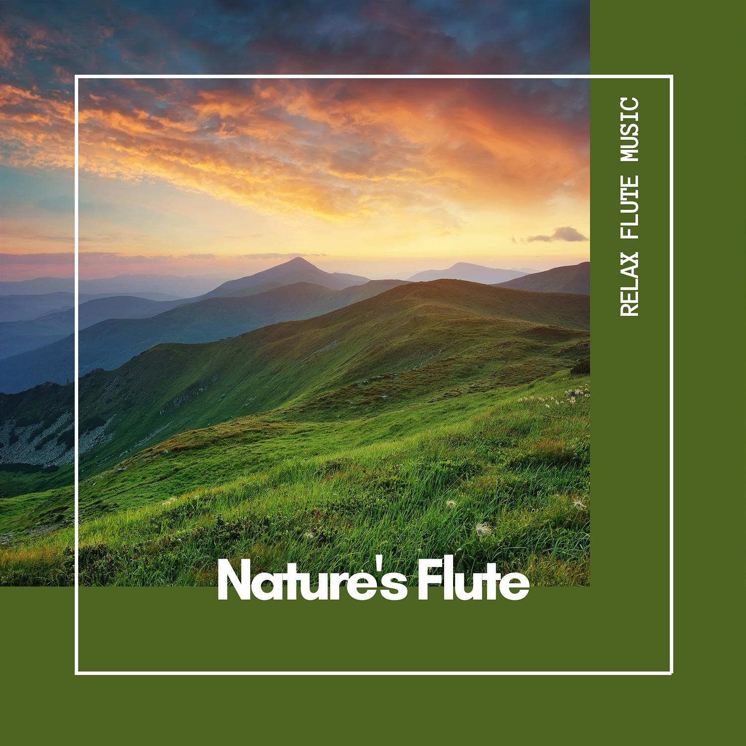 Relieve Stress - Relax Flute Music/Flute Relaxation/Dr. Meditation - 单曲 ...