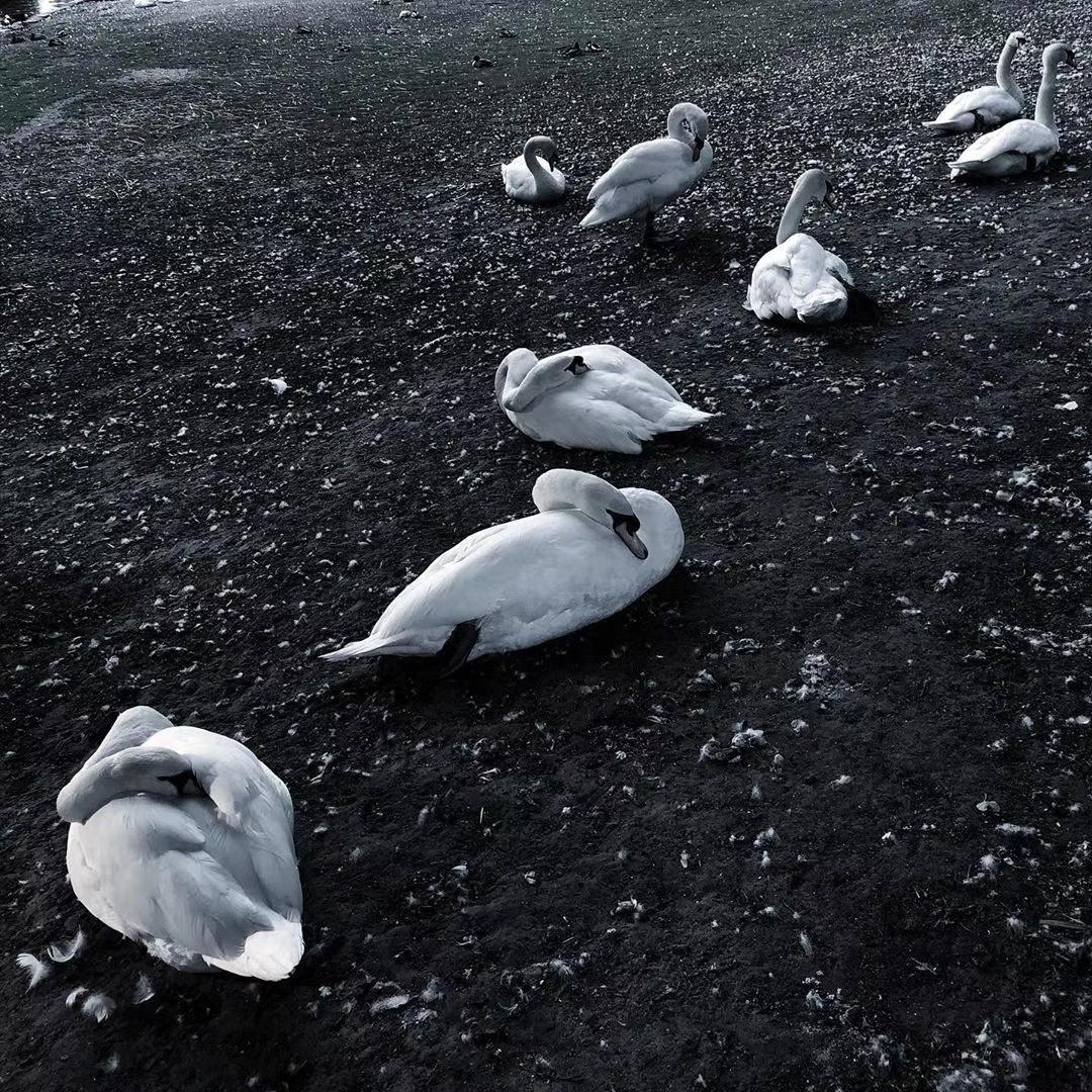 Take Me To Infinity - 恩赐 - 专辑 - 网易云音乐