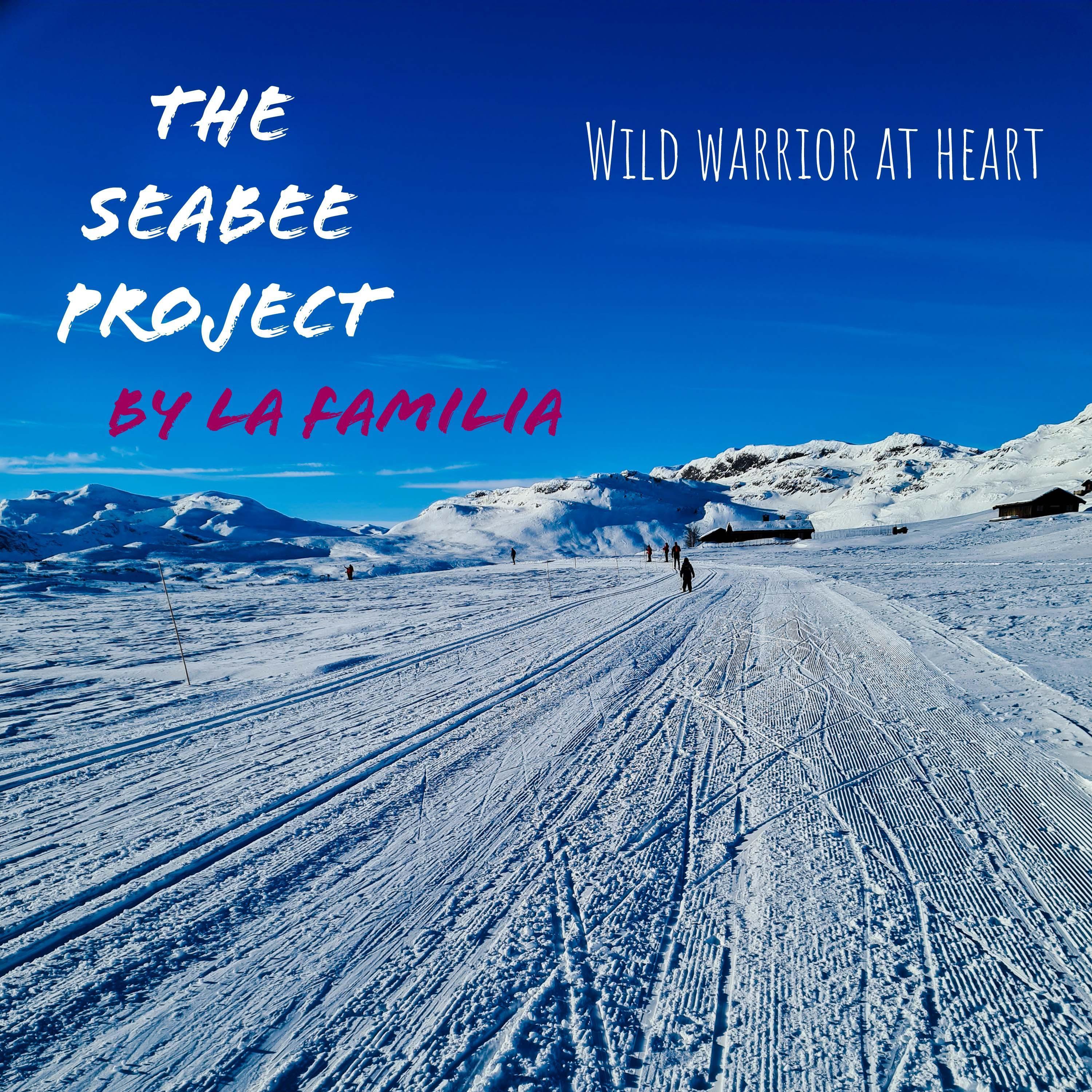 Wild warrior at heart - The SeaBee Project By La Familia - 专辑 - 网易云音乐