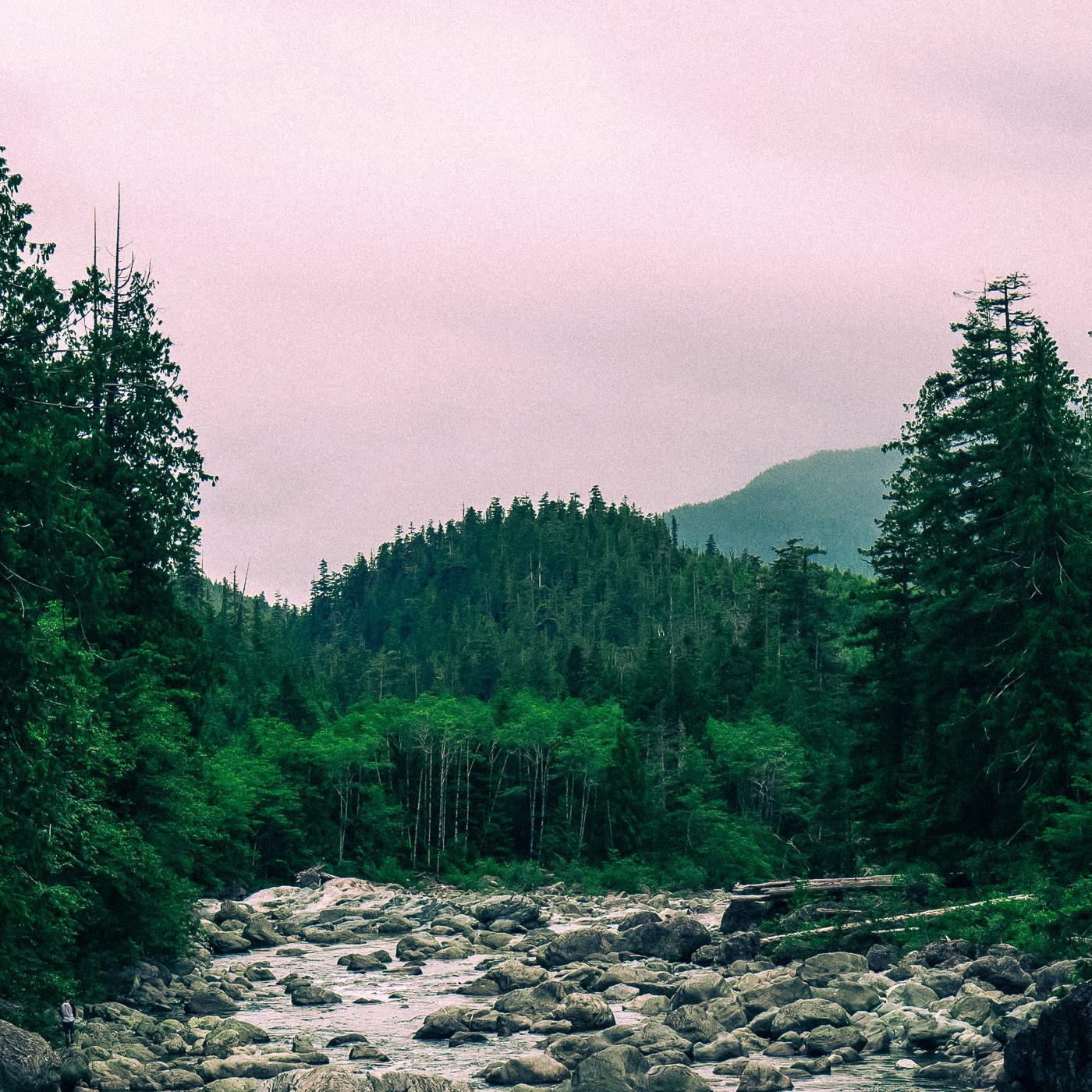 Gentle Pitter-Patter - 24H Rain Sounds/Rain for Deep Sleep/ohm waves ...