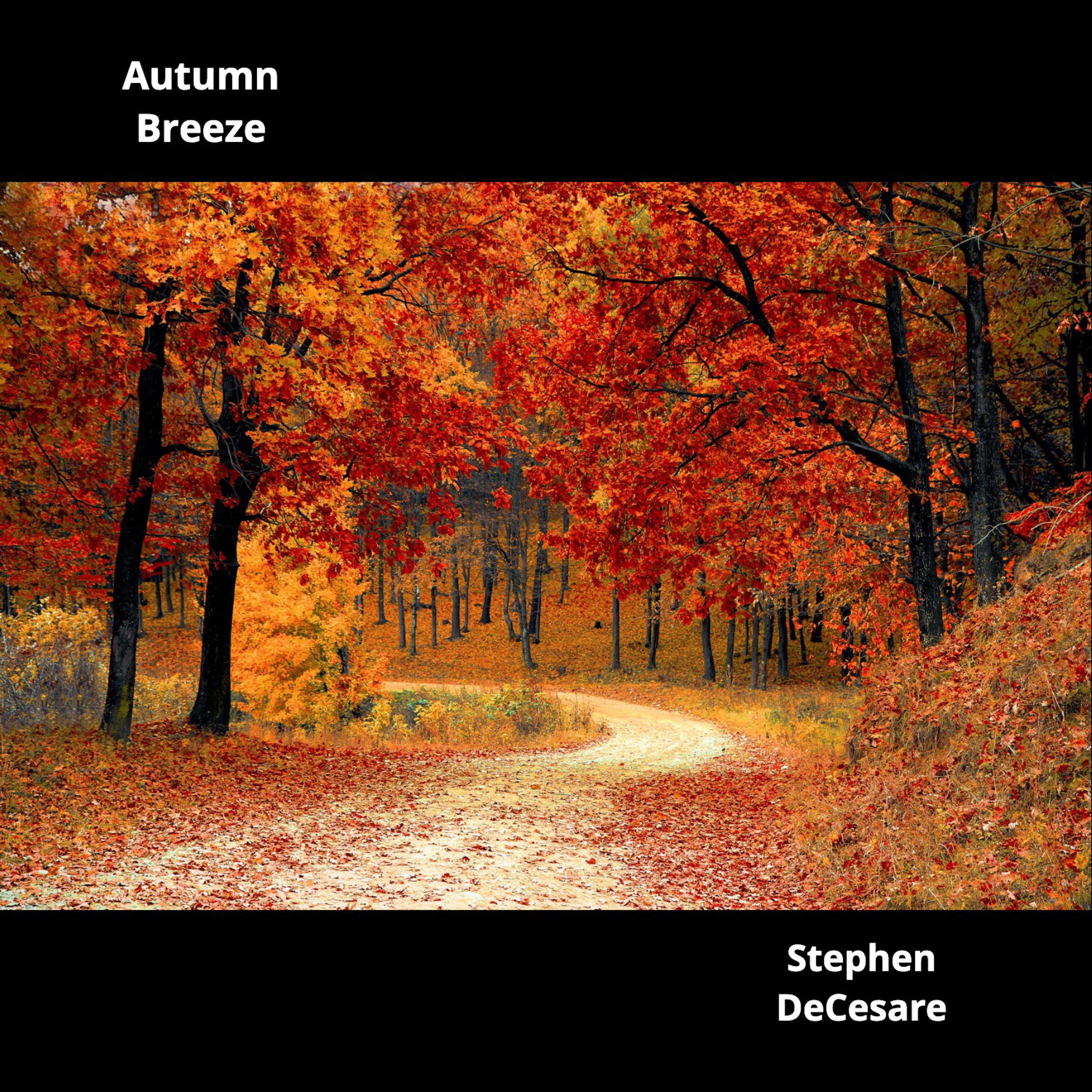 Autumn Breeze - Stephen DeCesare - 专辑 - 网易云音乐