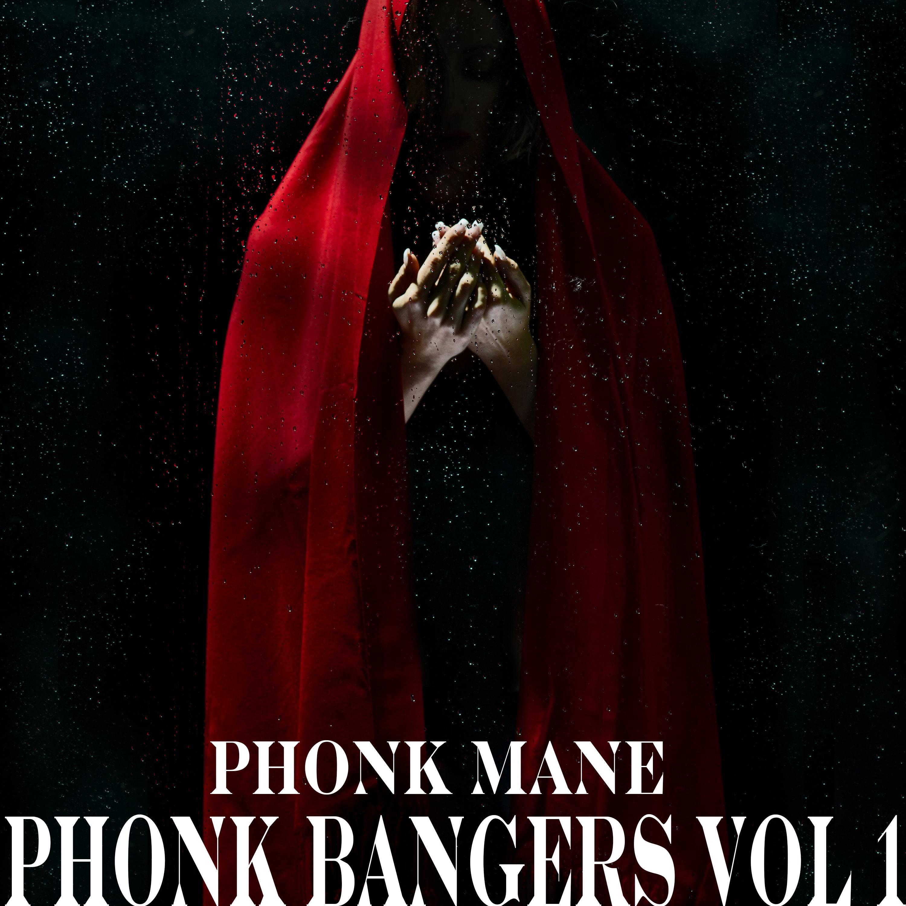 PHONK BANGERS Vol. 1 - Phonk Mane - 专辑 - 网易云音乐