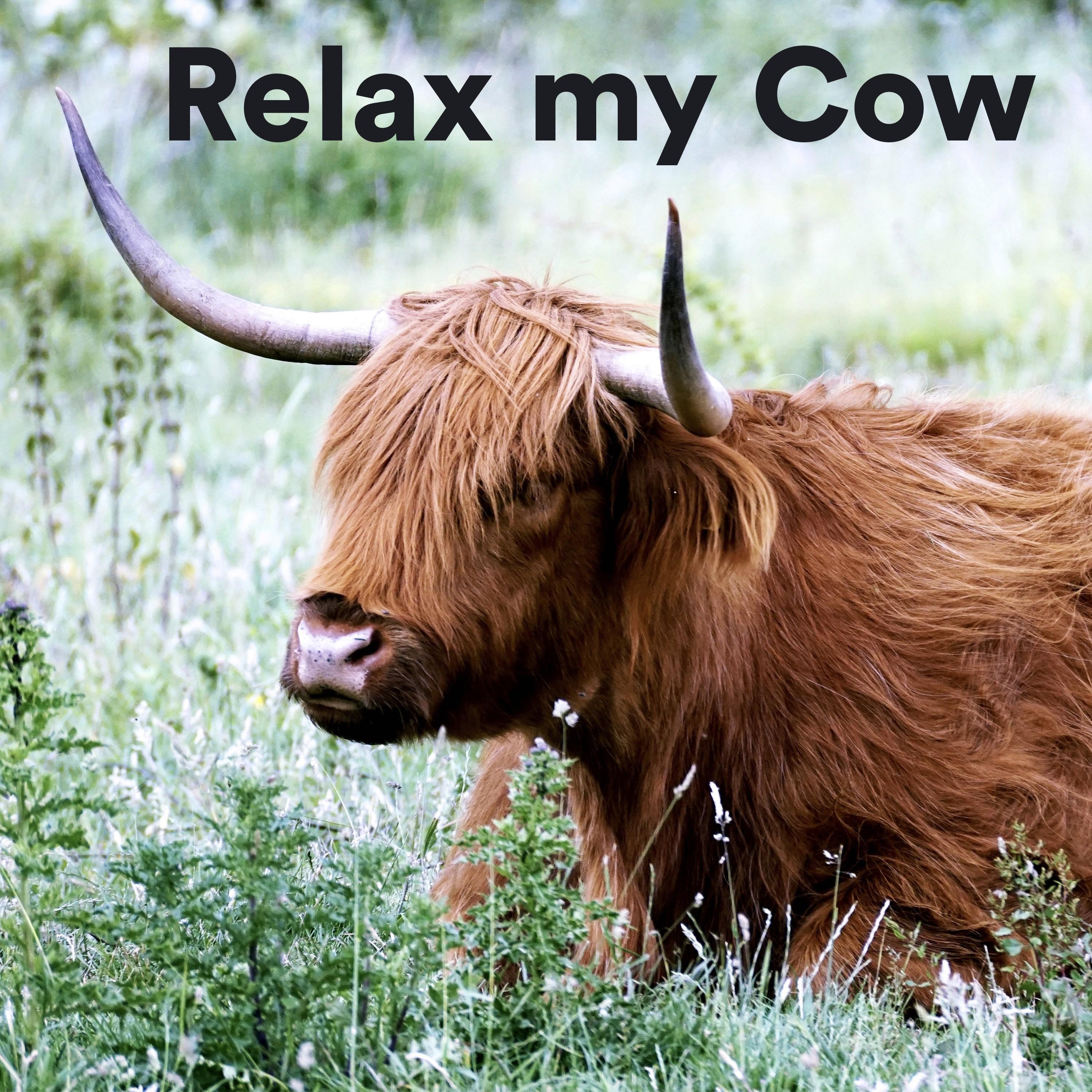 Relax My Cow - Various Artists - 专辑 - 网易云音乐
