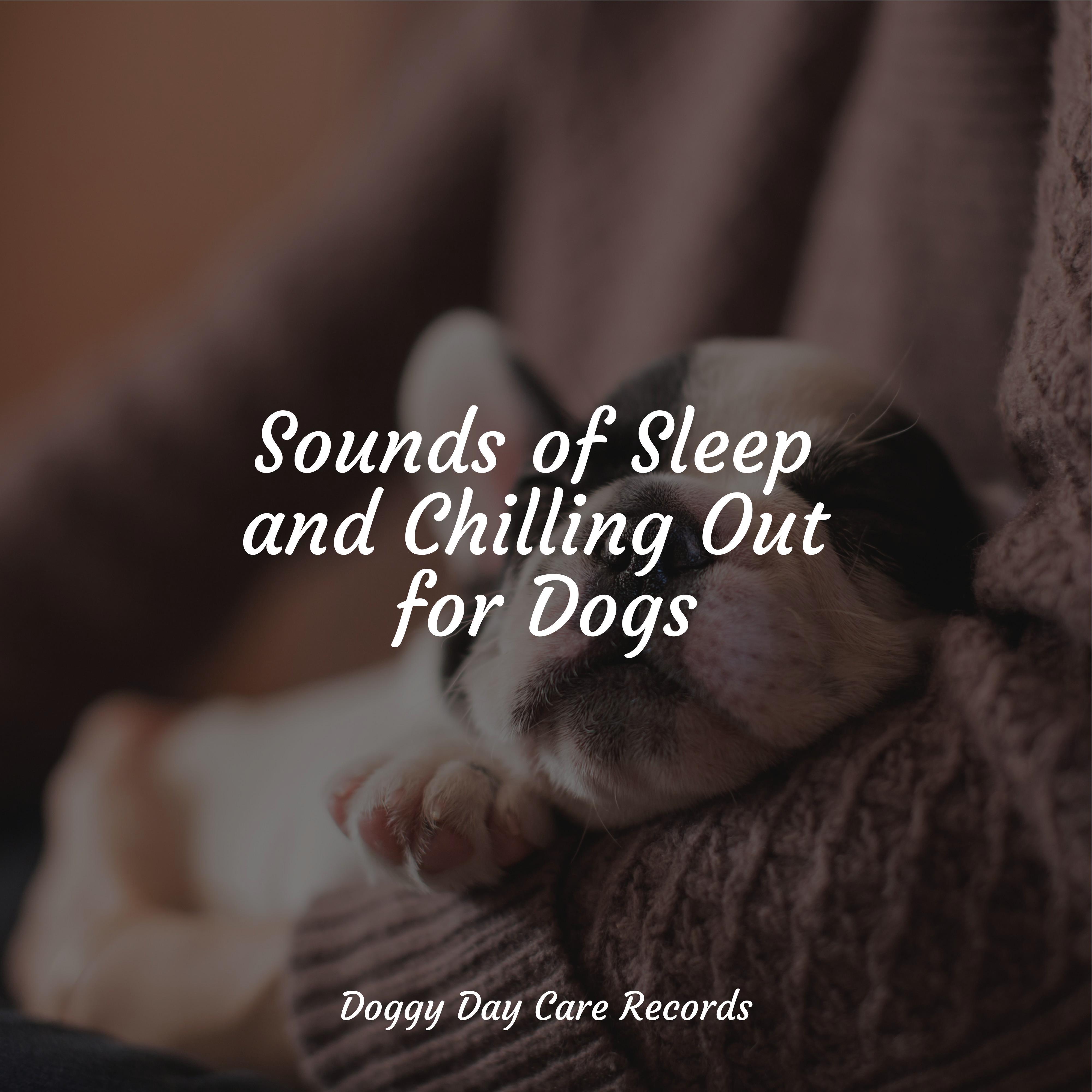 Deep Breathing - Relaxation Music For Dogs/Official Pet Care Collection ...