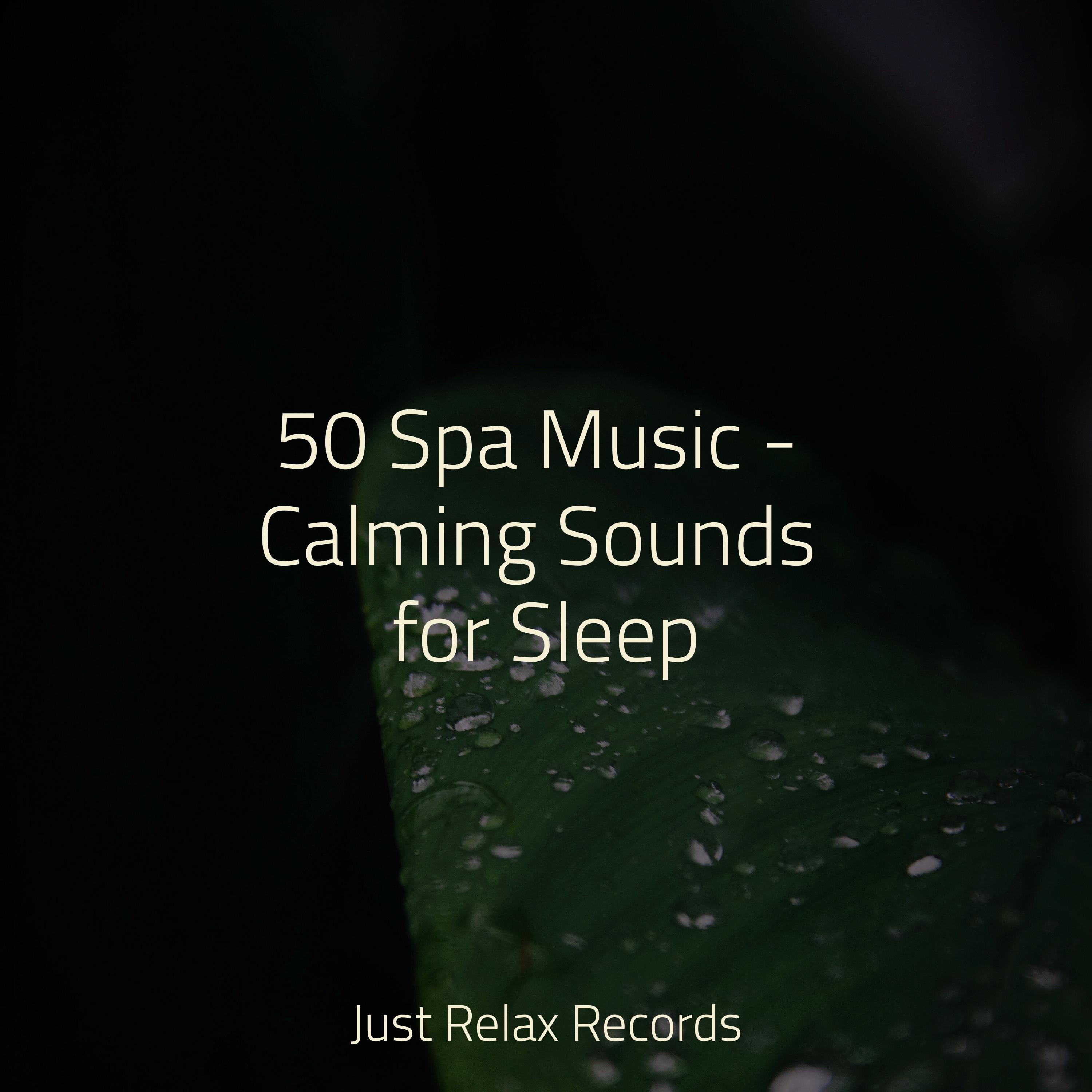 50 Spa Music - Calming Sounds for Sleep - Children's Music - 专辑 - 网易云音乐