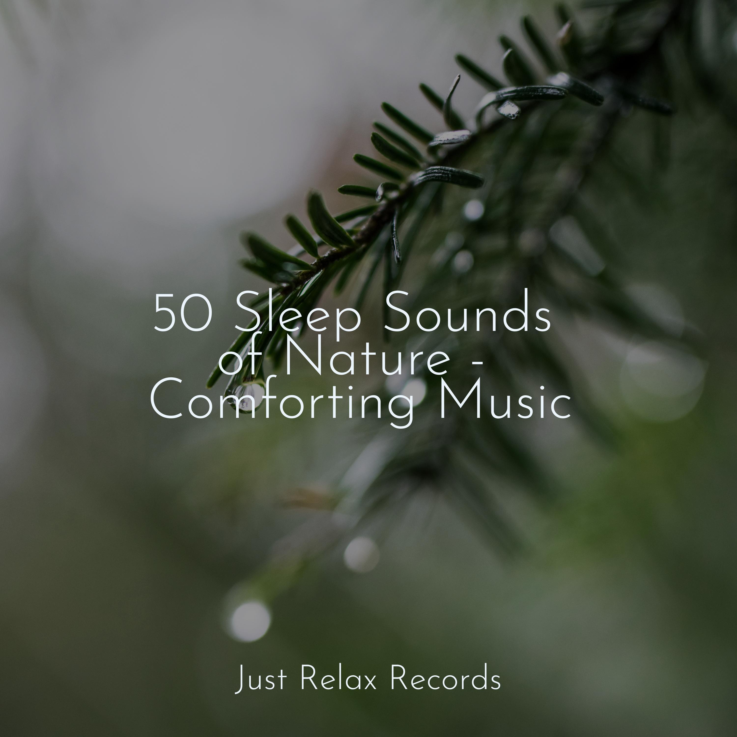 Enchantment's Luminous Spell - Kinderliedjes/Calming Sounds/Zen - 单曲 ...