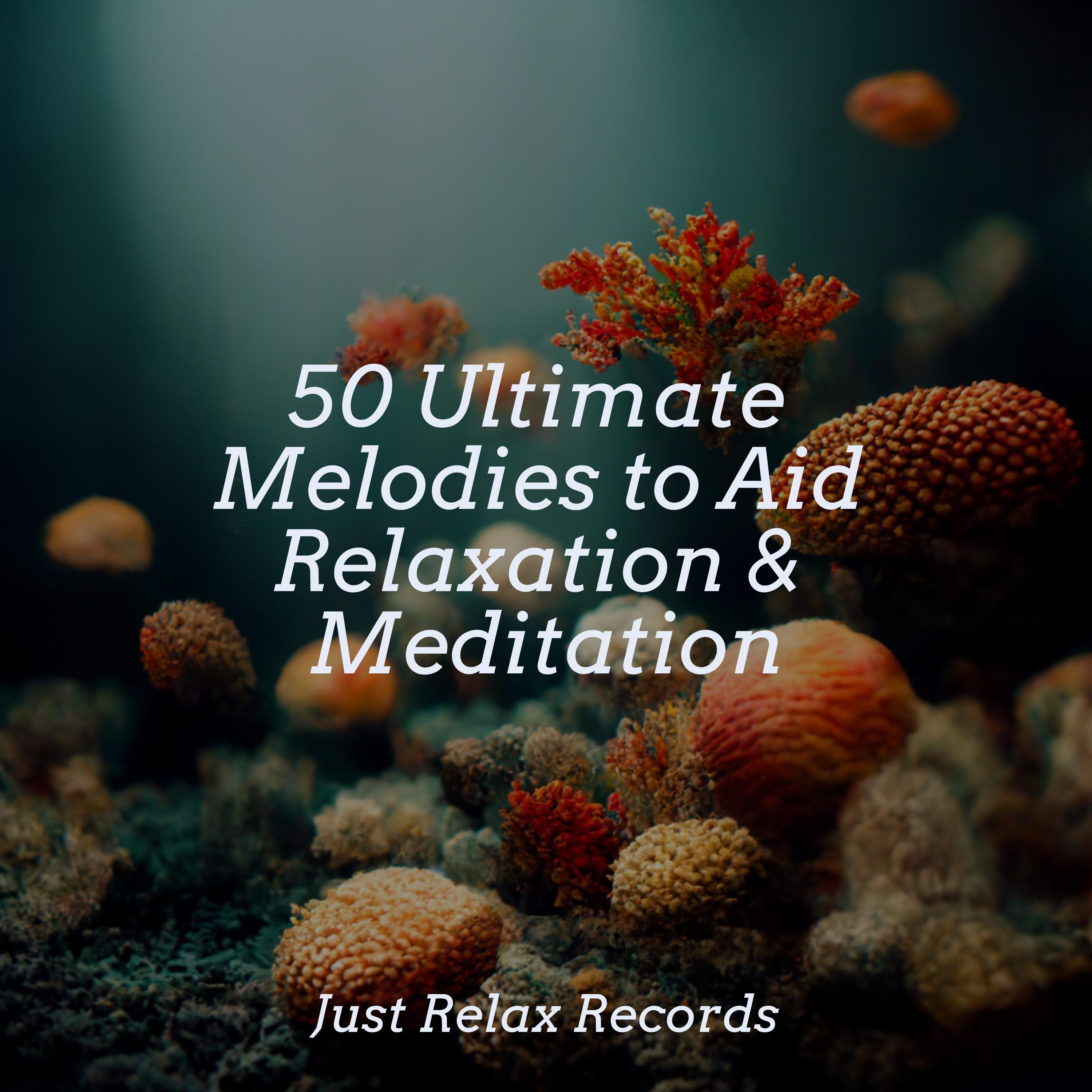 Sonic Airborne Adventure - Deep Sleep Relaxation/Music For Absolute ...