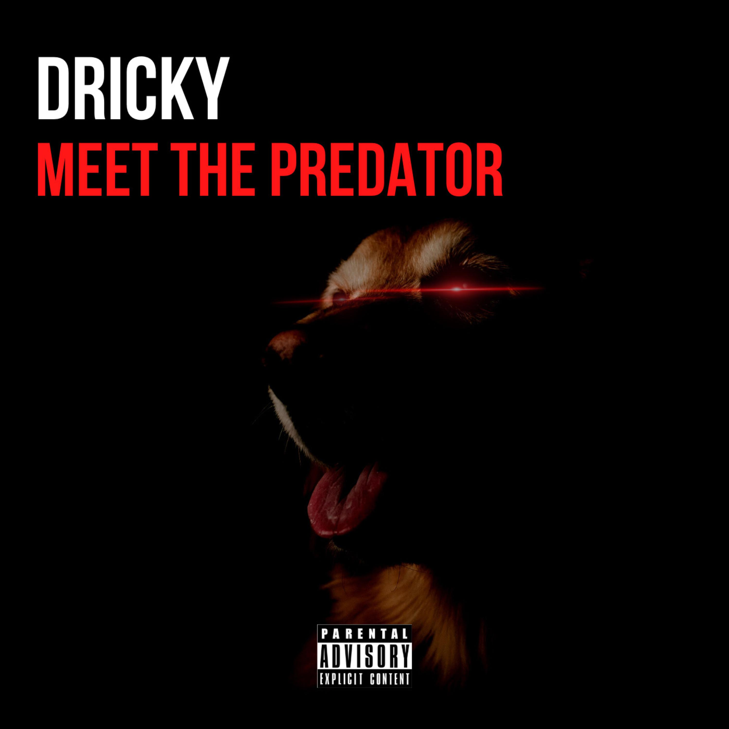 Meet the Predator - Dricky - 专辑 - 网易云音乐
