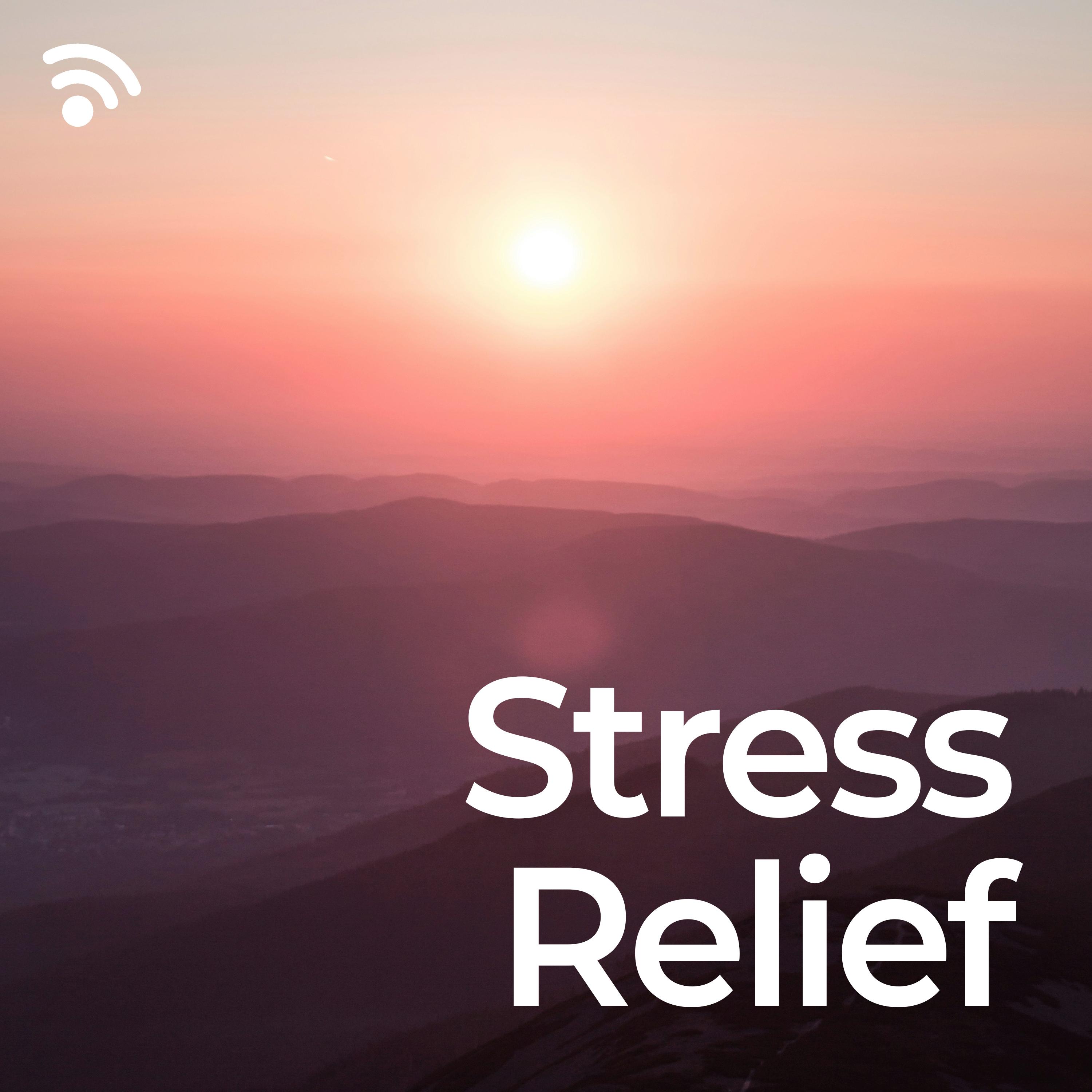 Tranquil Moments - Stress Relief Calm Oasis / Mindfullness Meditation ...