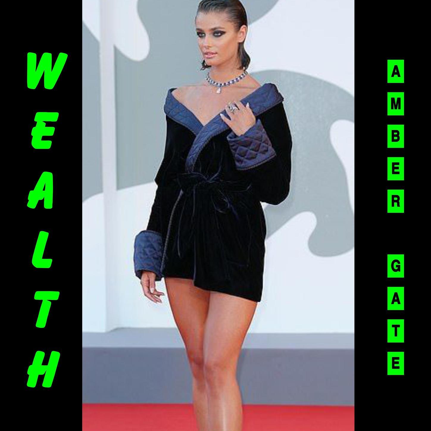 Wealth - Amber Gate - 单曲 - 网易云音乐